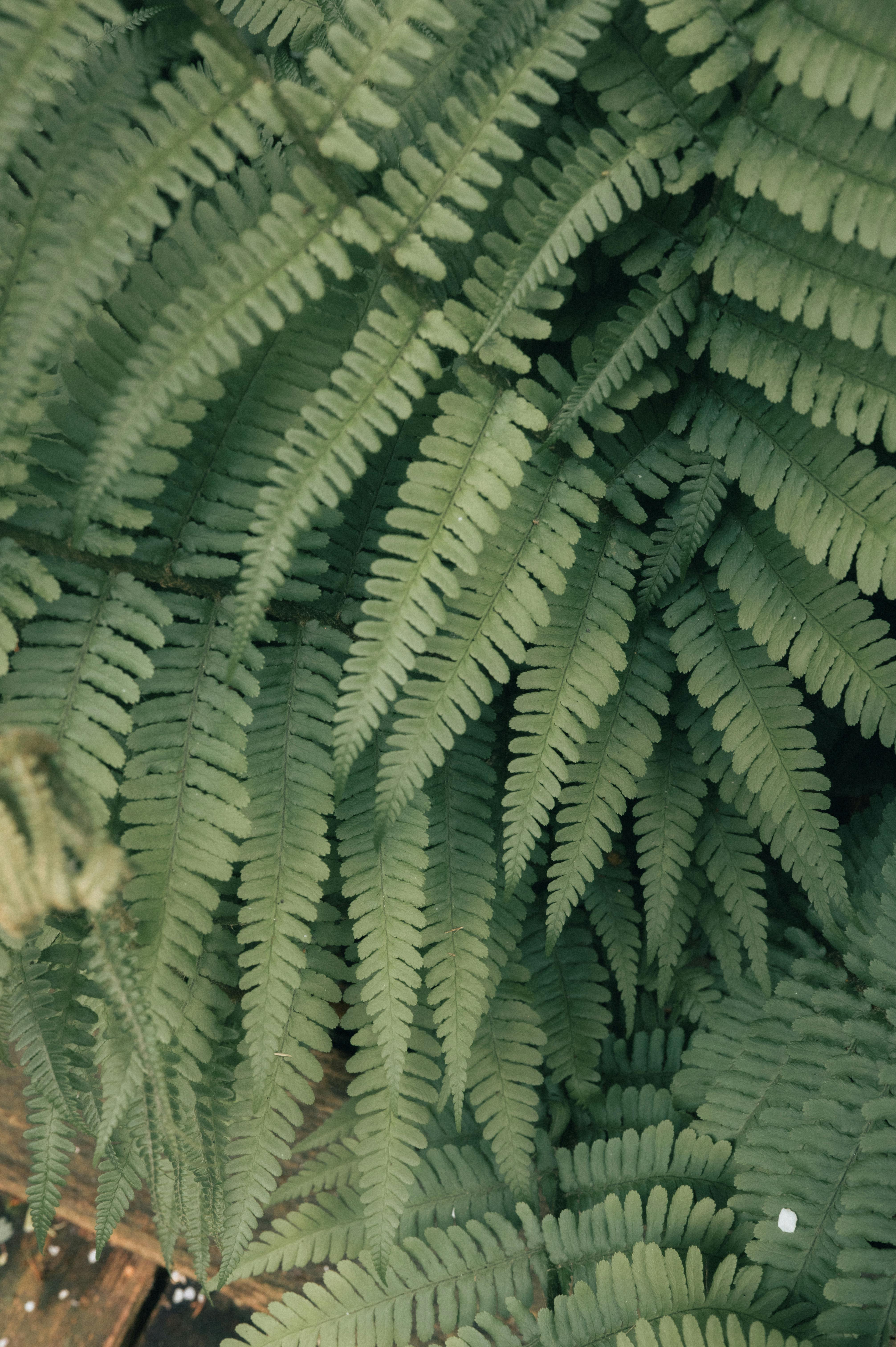 Fully Shut Photos, Download The BEST Free Fully Shut Stock Photos & HD ...