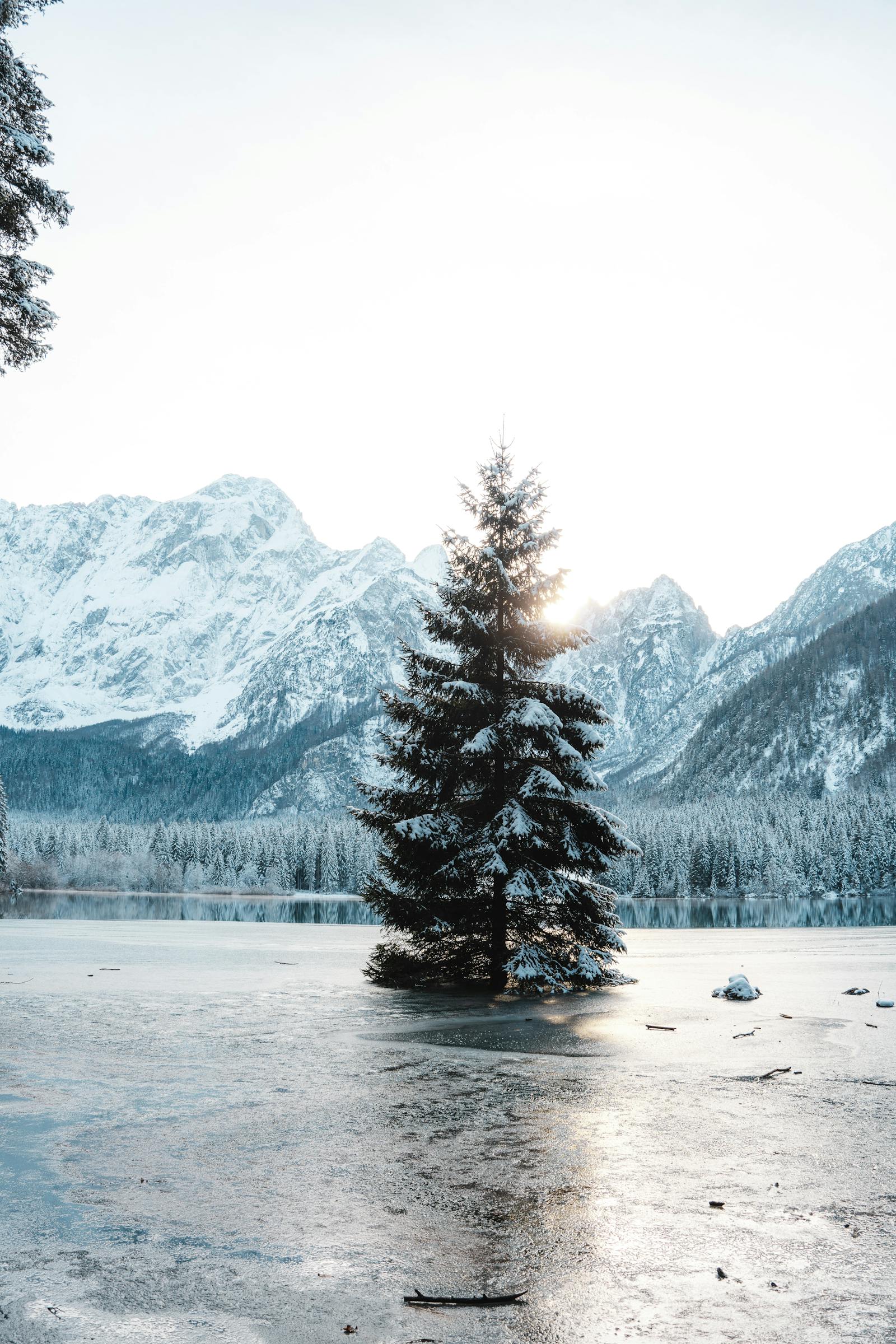 Snowy Landscape Photos, Download The BEST Free Snowy Landscape Stock ...