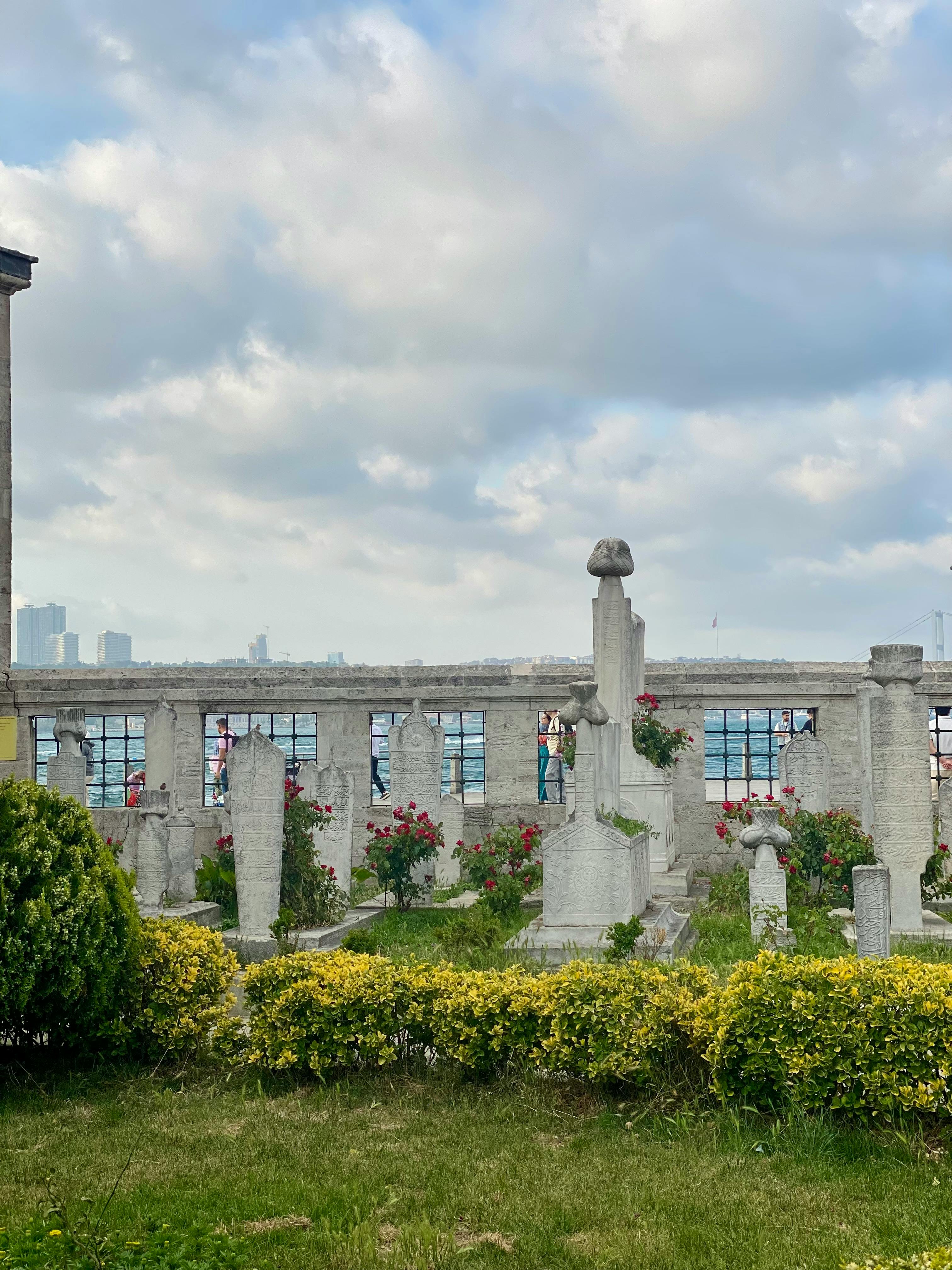 Nature In Graveyard Photos, Download The BEST Free Nature In Graveyard ...