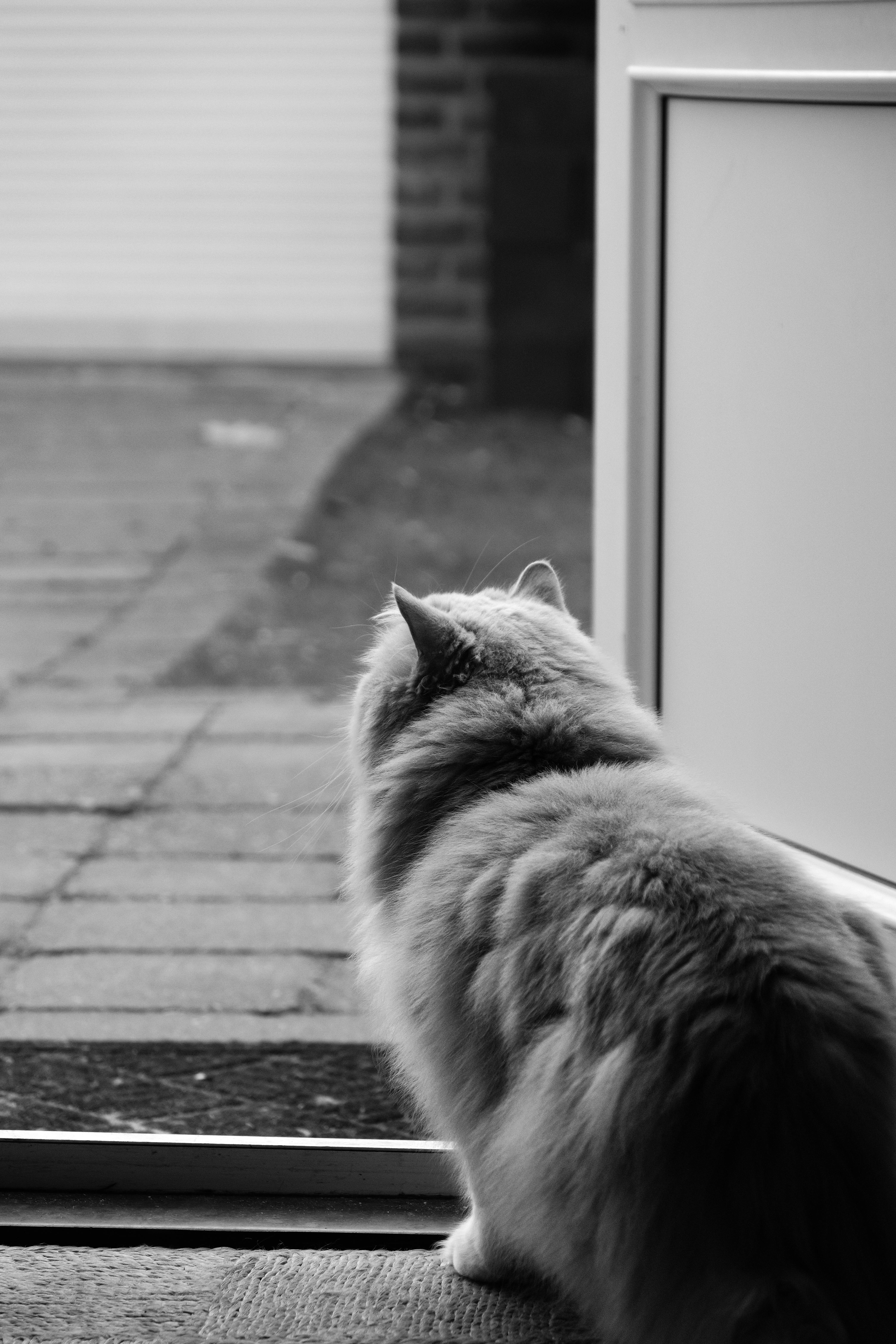 Absolute Threshold Photos, Download The BEST Free Absolute Threshold ...