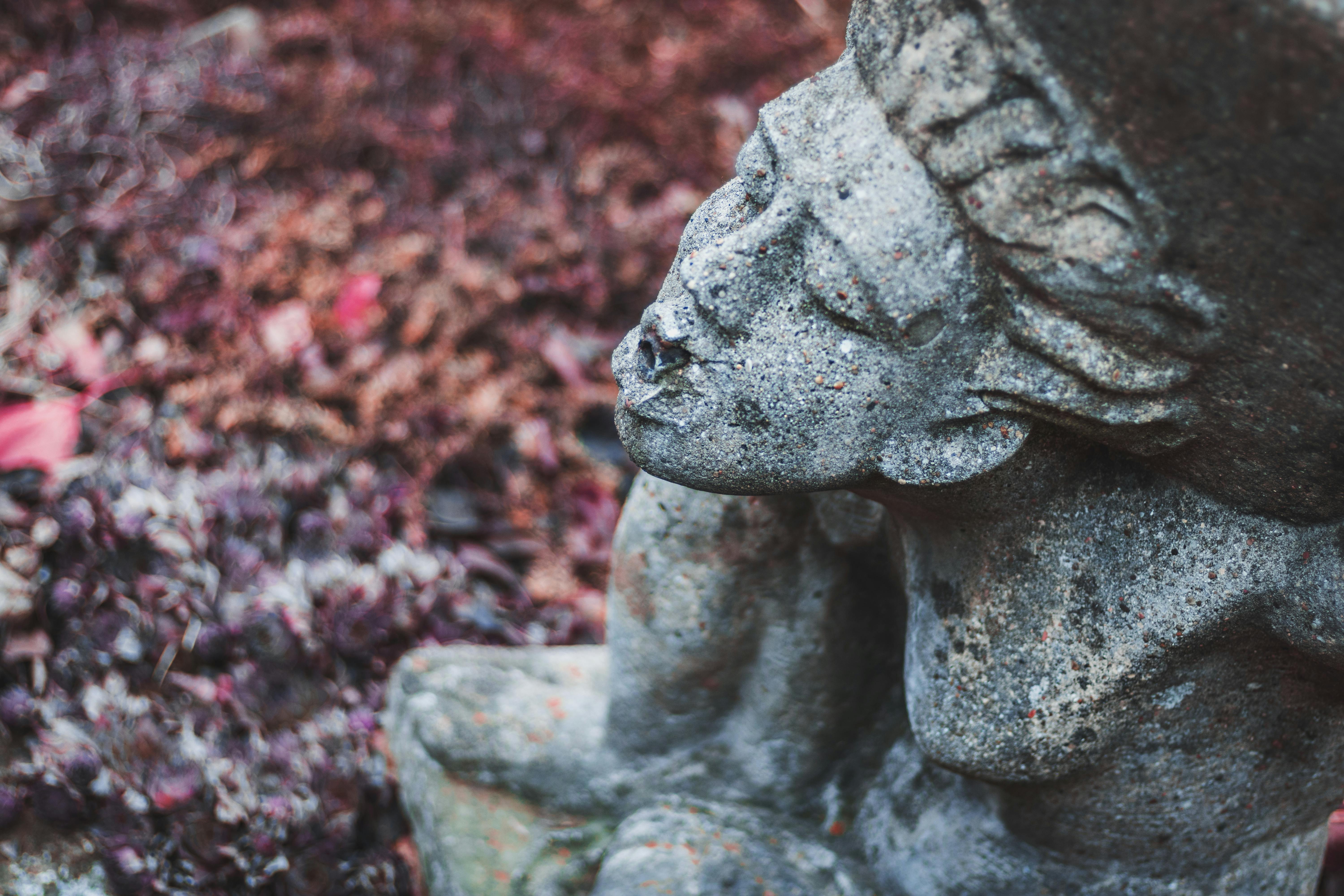 Close-up of Statue · Free Stock Photo