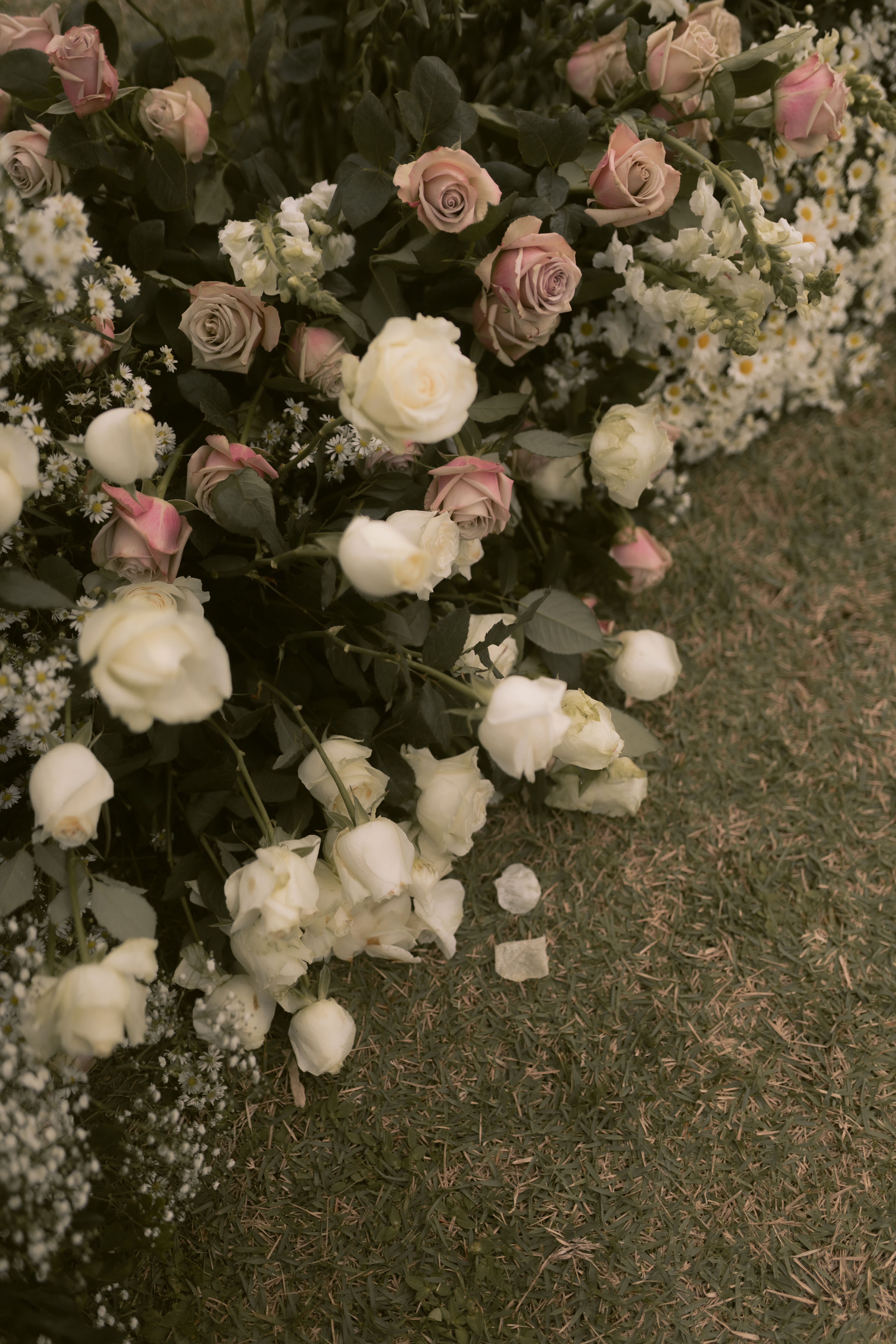 Elegant Display of White and Pink Roses Outdoors · Free Stock Photo