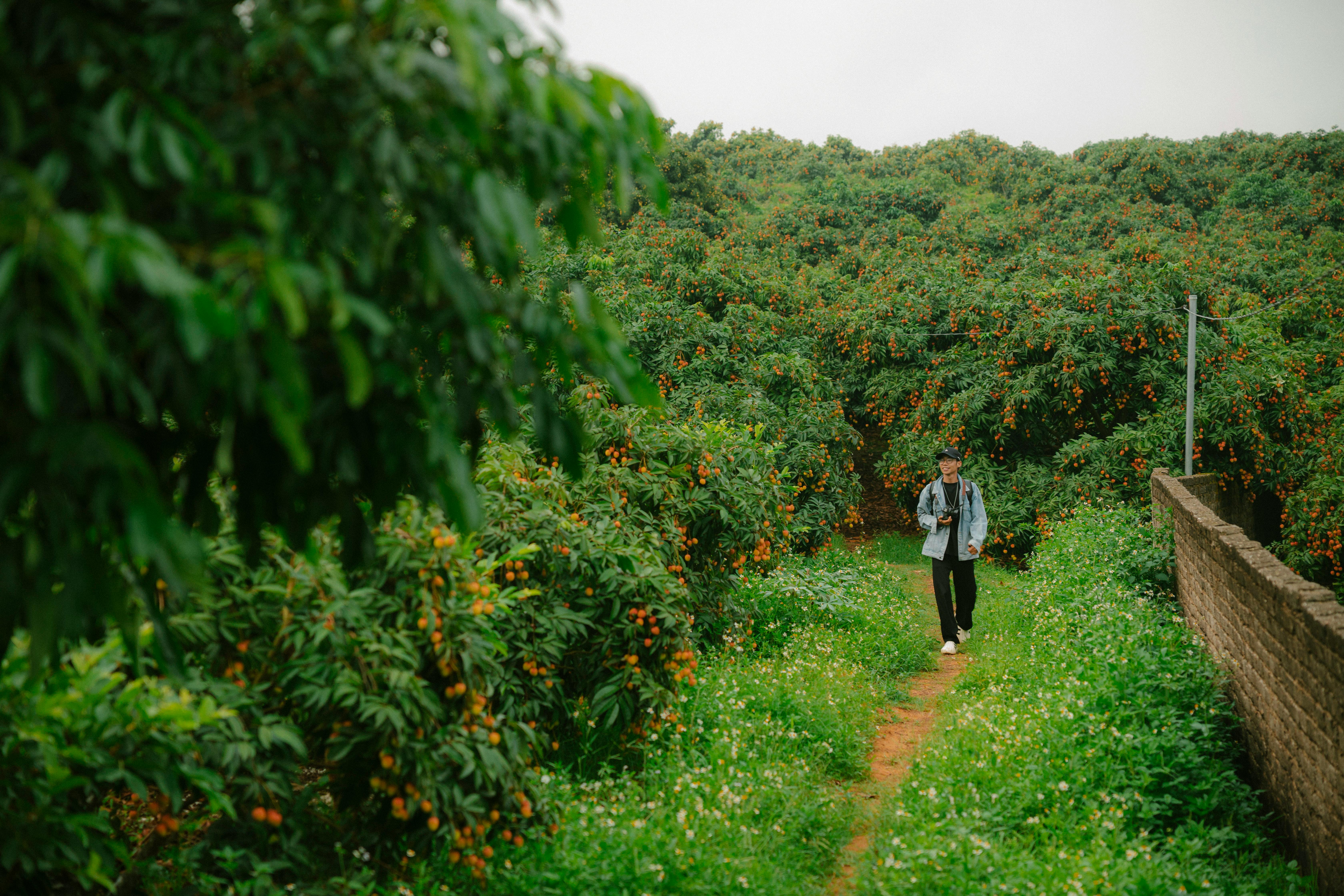 R Cva Symptome Photos, Download The BEST Free R Cva Symptome Stock ...