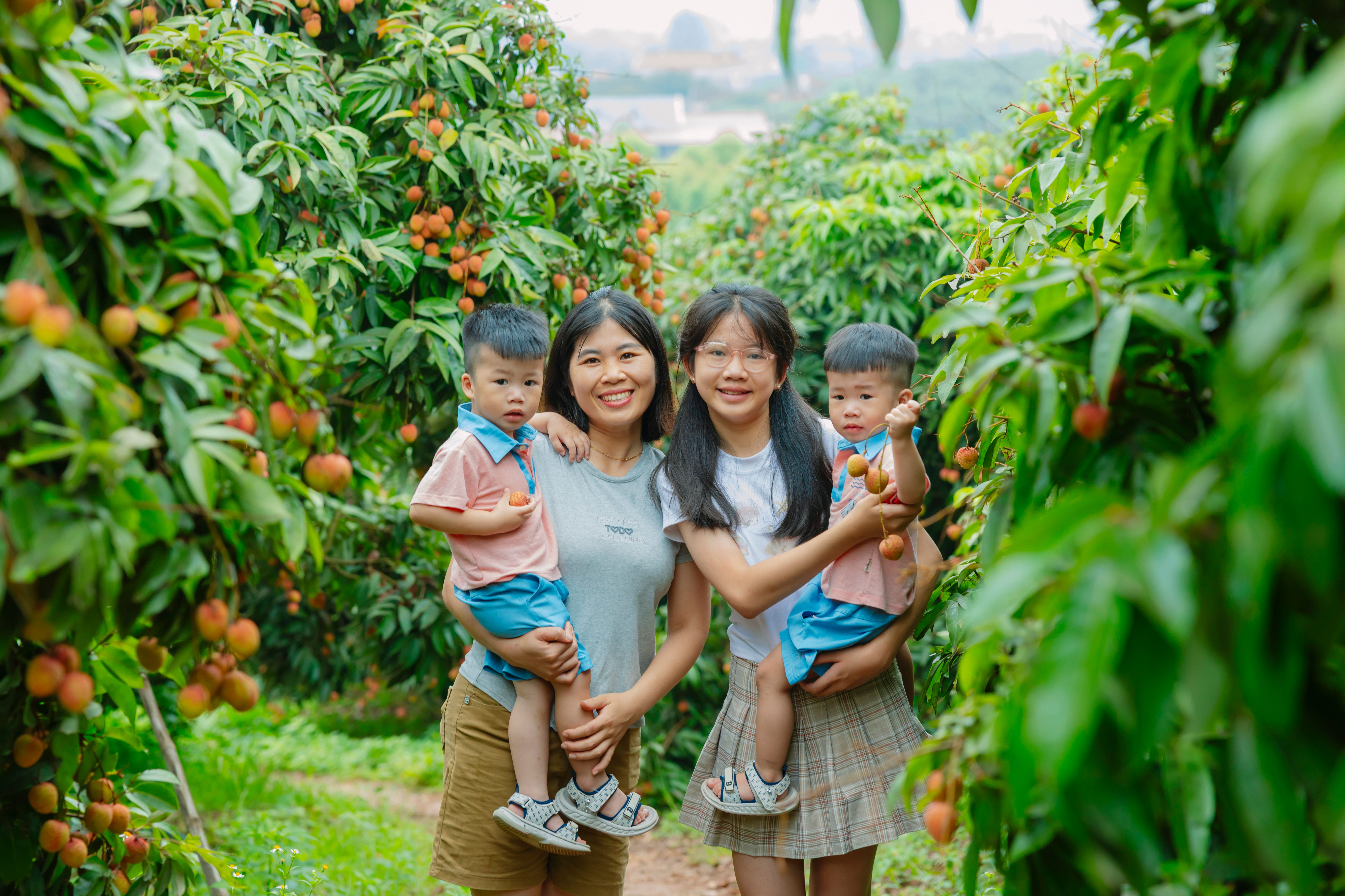 Family Enjoying Day in Lychee Orchard Outdoors · Free Stock Photo