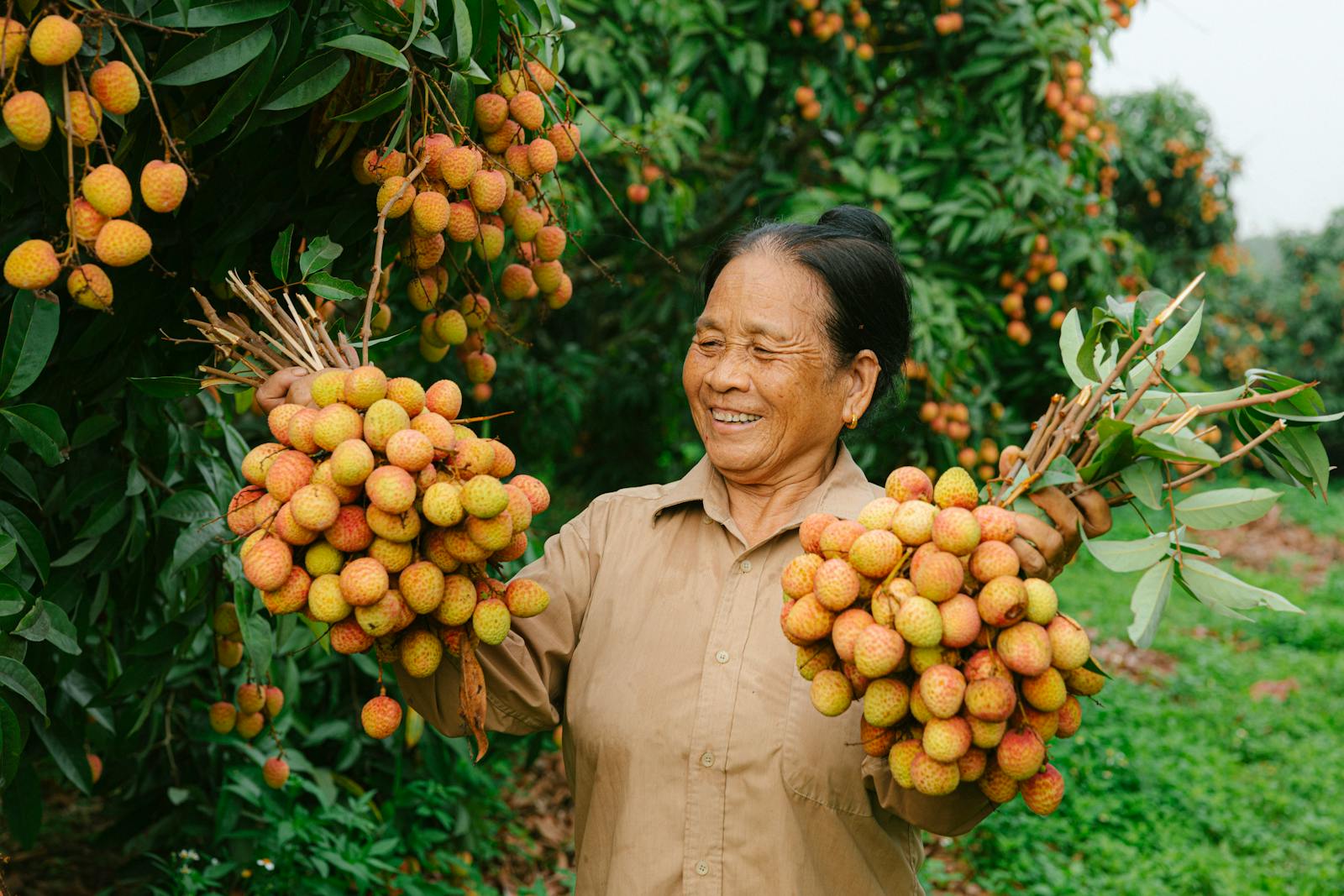 Fruit Farm Photos, Download The BEST Free Fruit Farm Stock Photos & HD ...