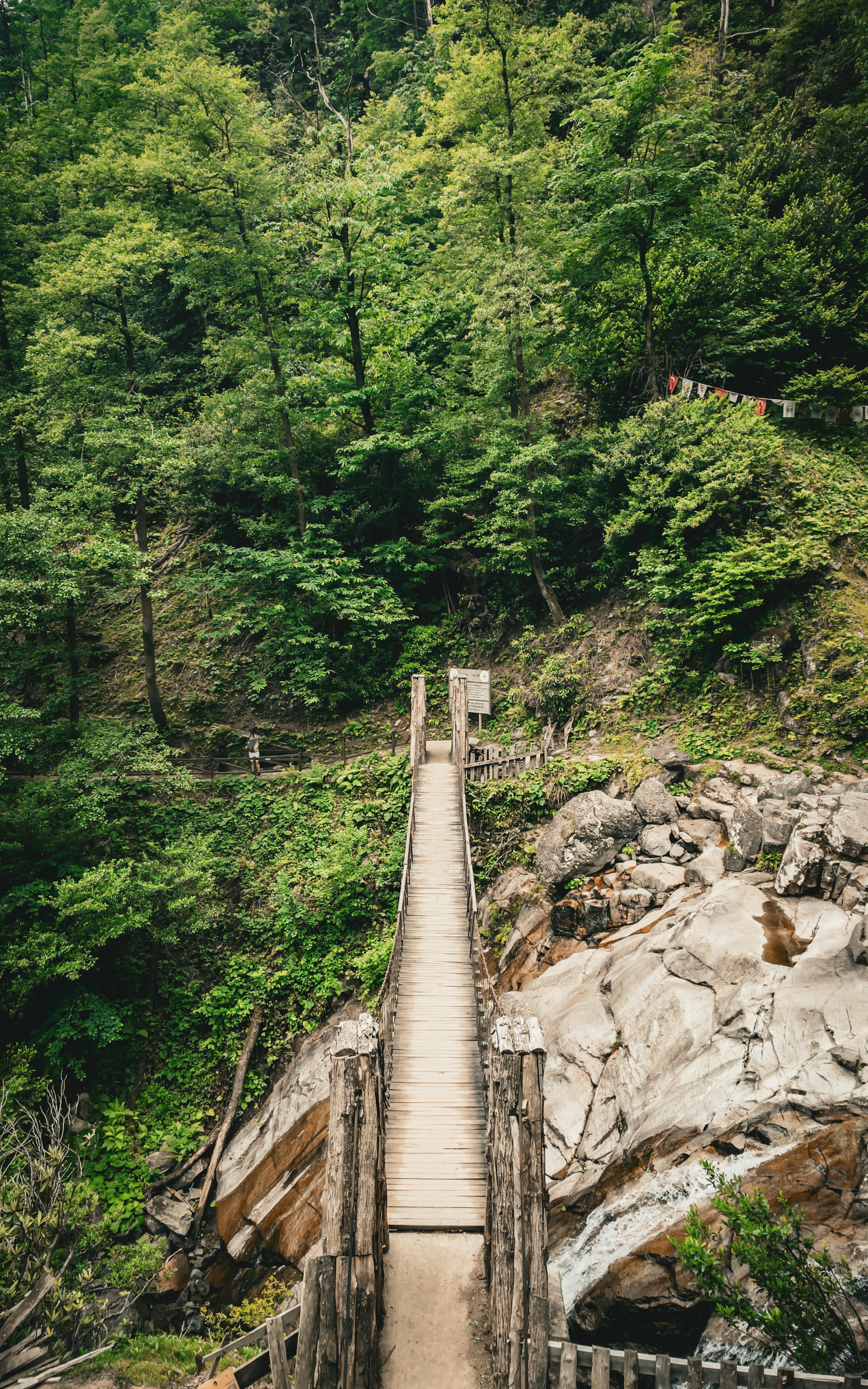 Wooden Bridge over Rocky Mountain Stream · Free Stock Photo