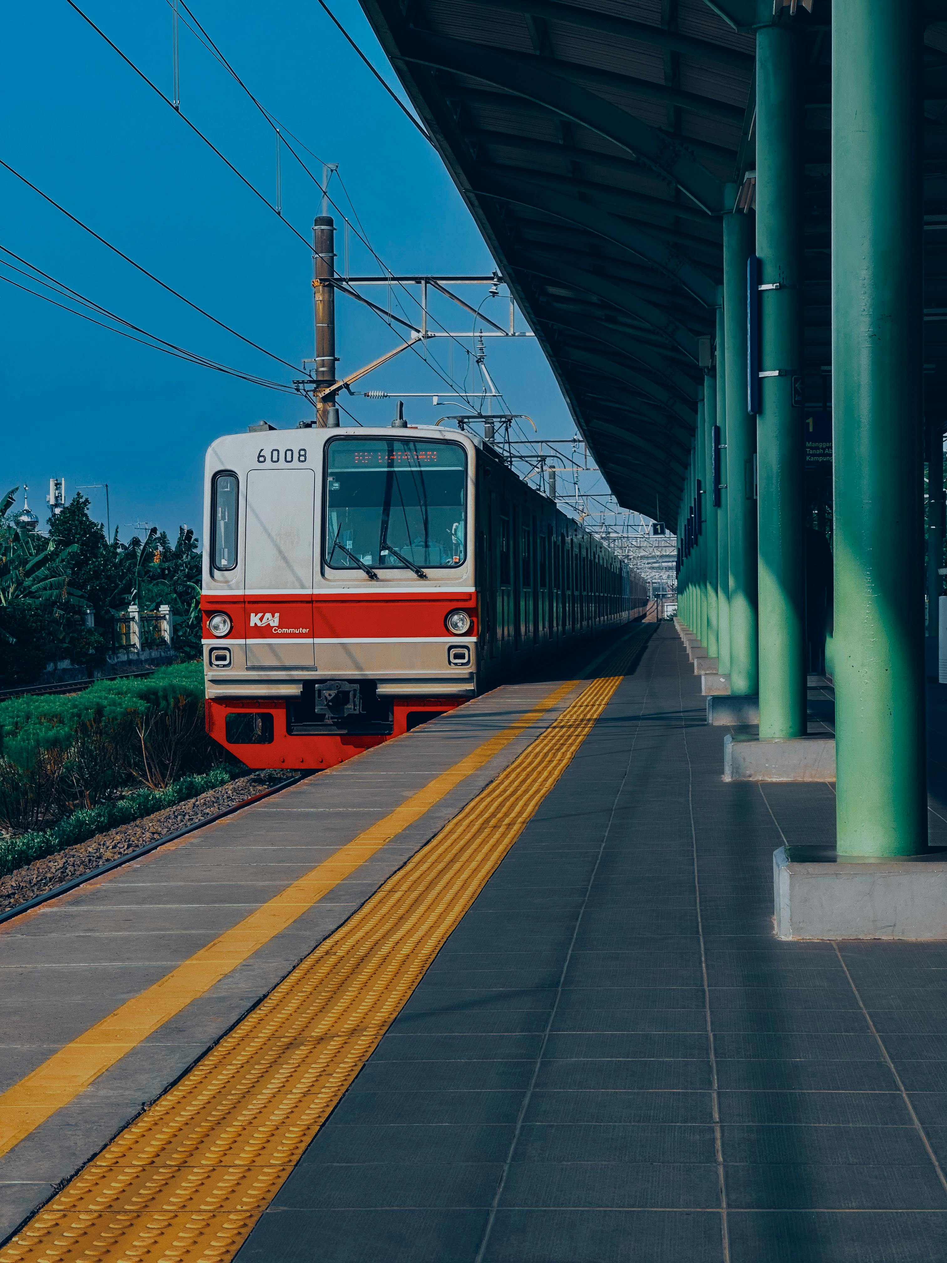 Ceha Rabbani — Фотография