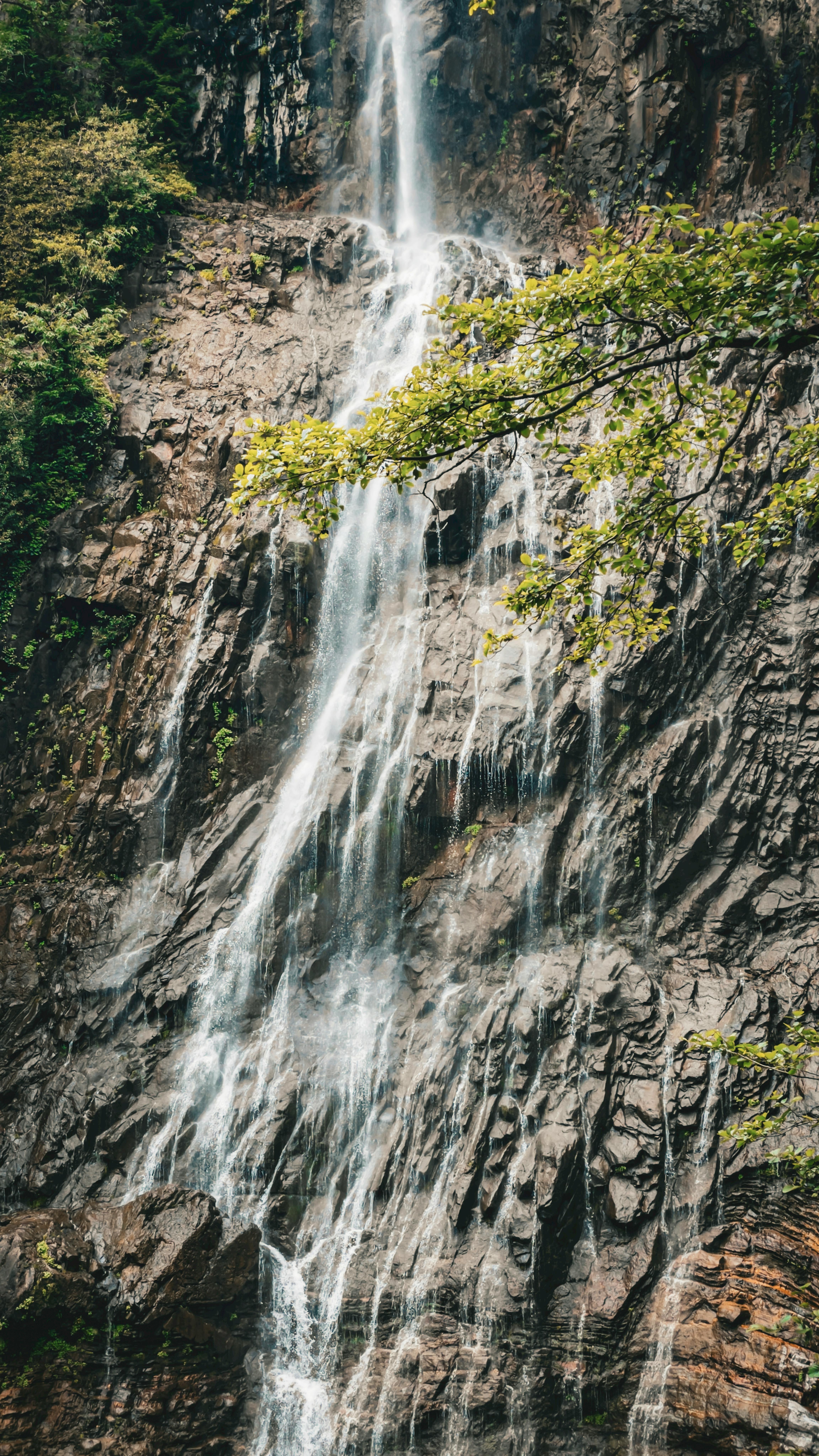 Spray Alchol Photos, Download The BEST Free Spray Alchol Stock Photos ...