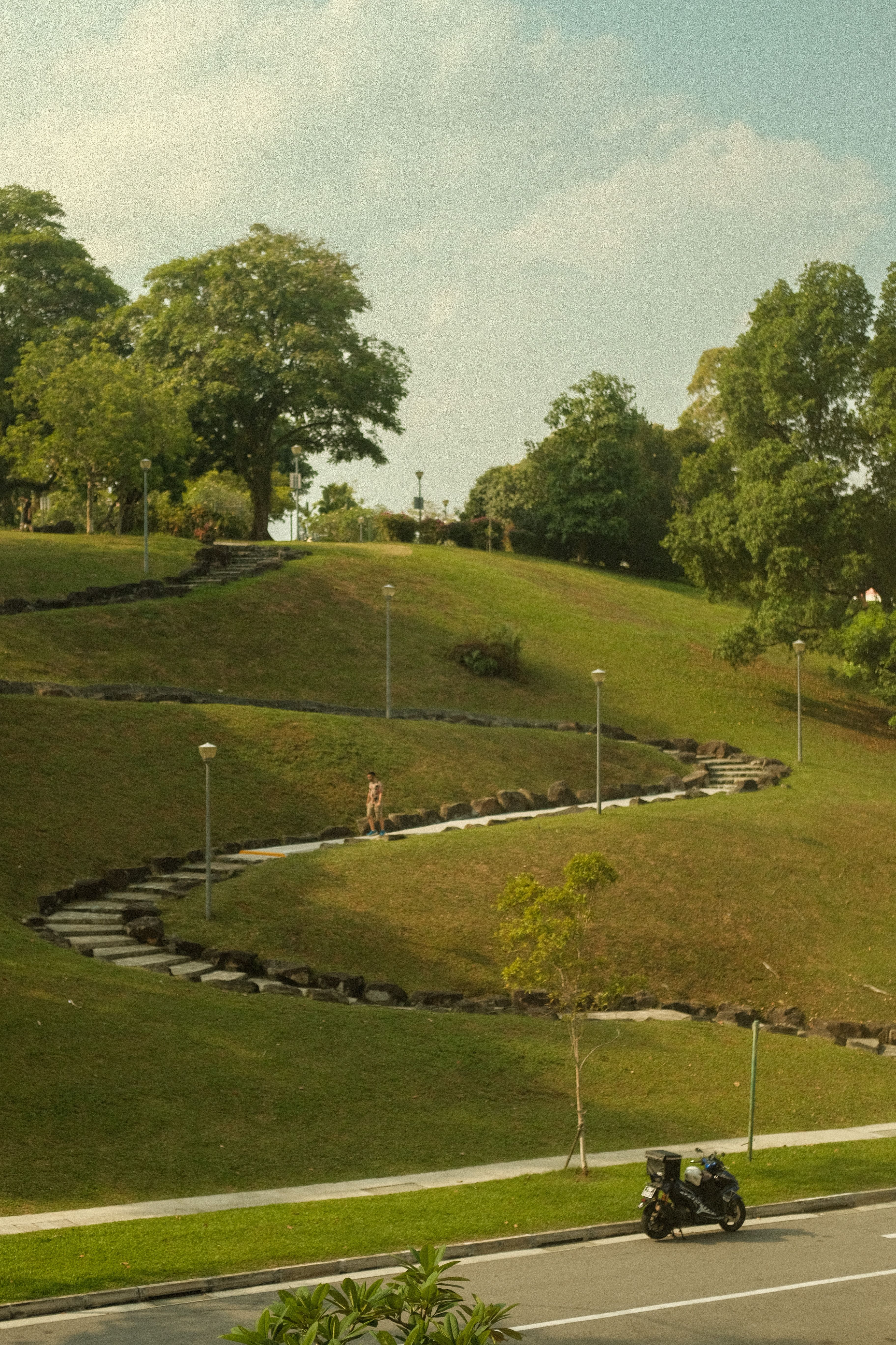 Scenic Park Landscape with Path and Trees · Free Stock Photo