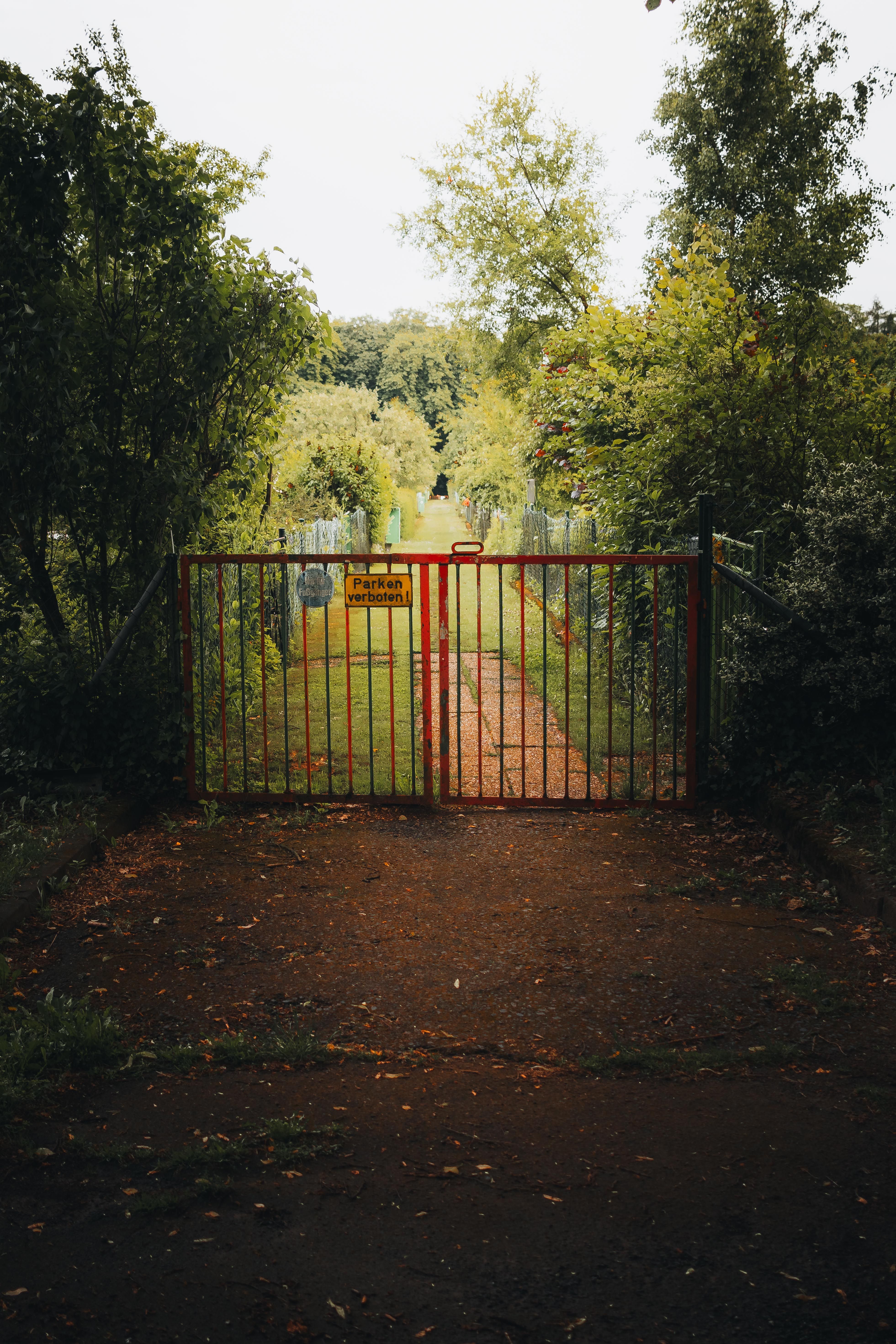 Scenic Garden Gate in Lush Forest Setting · Free Stock Photo