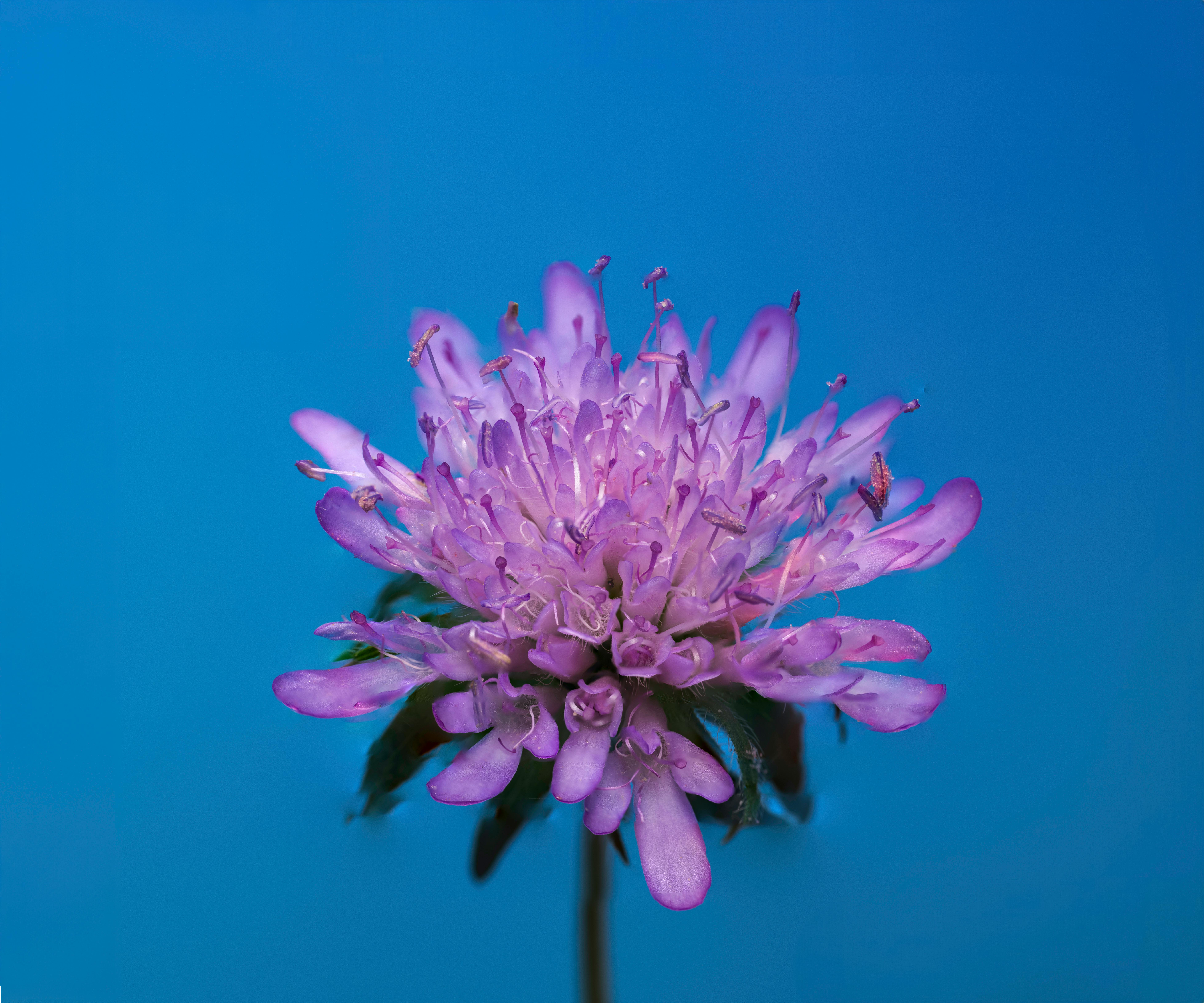 Eponer Stocking Photos, Download The BEST Free Eponer Stocking Stock ...