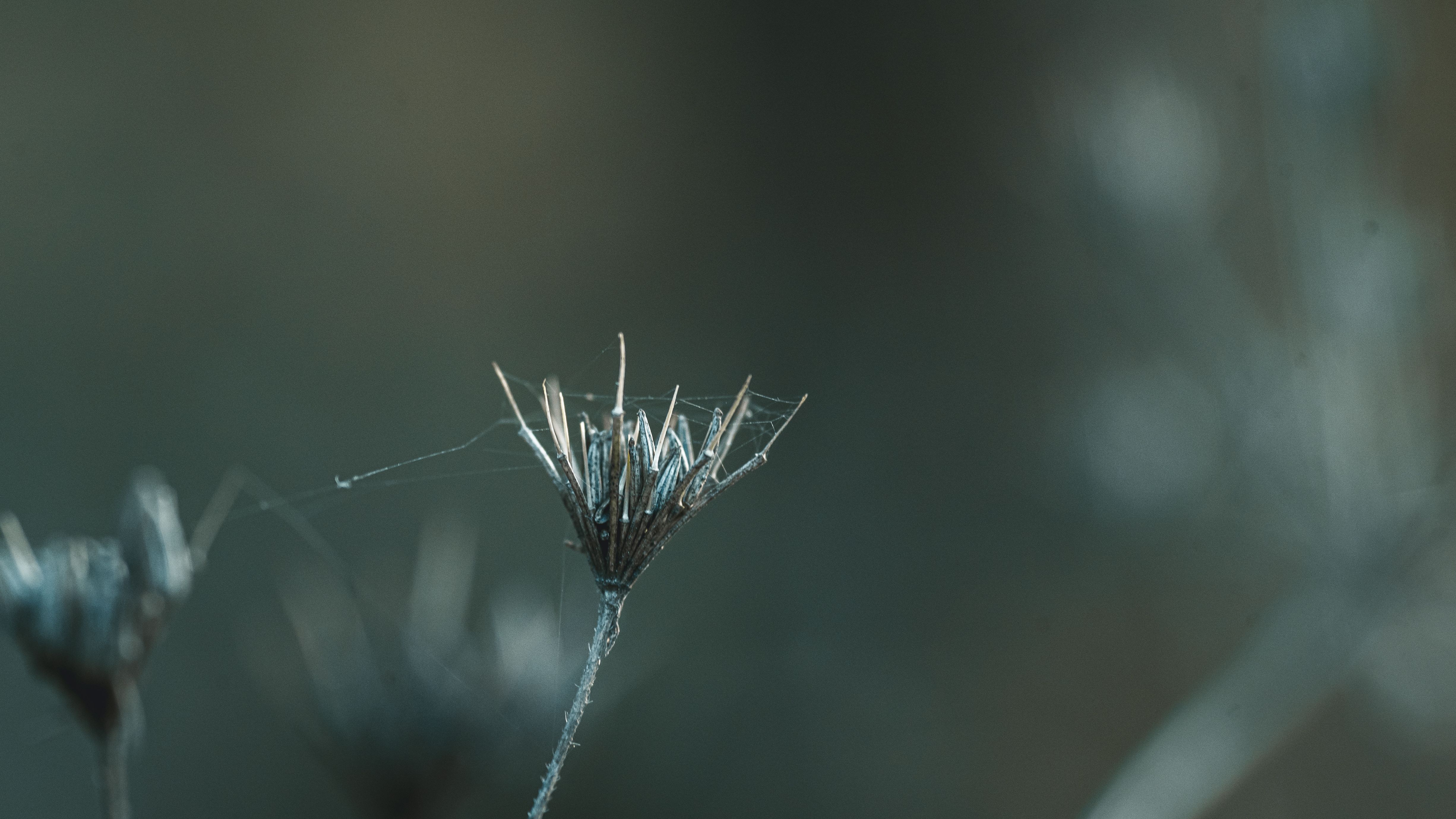 jordan besson - Photography