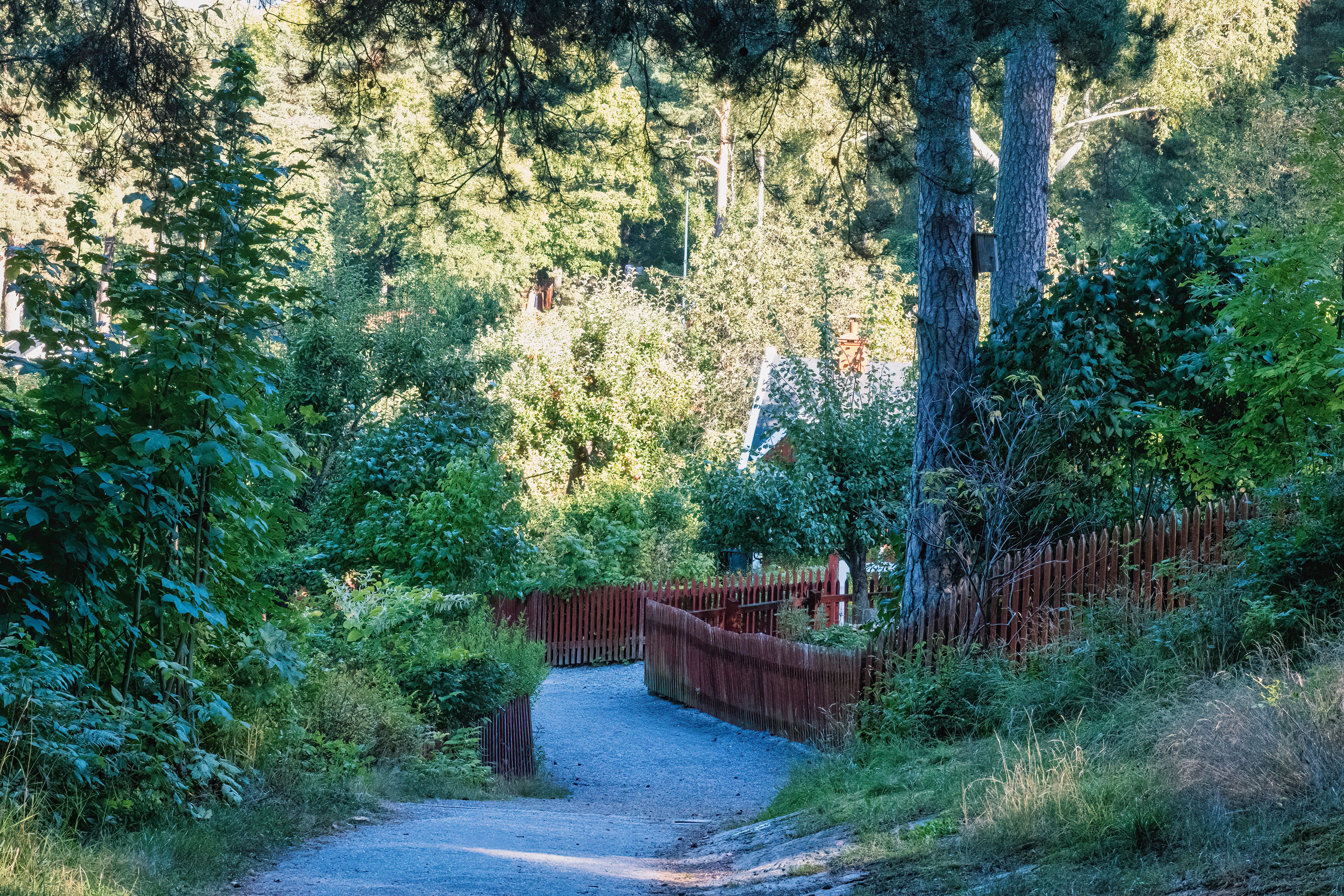 Serene Outdoor Pathway in Stockholm's Greenery · Free Stock Photo