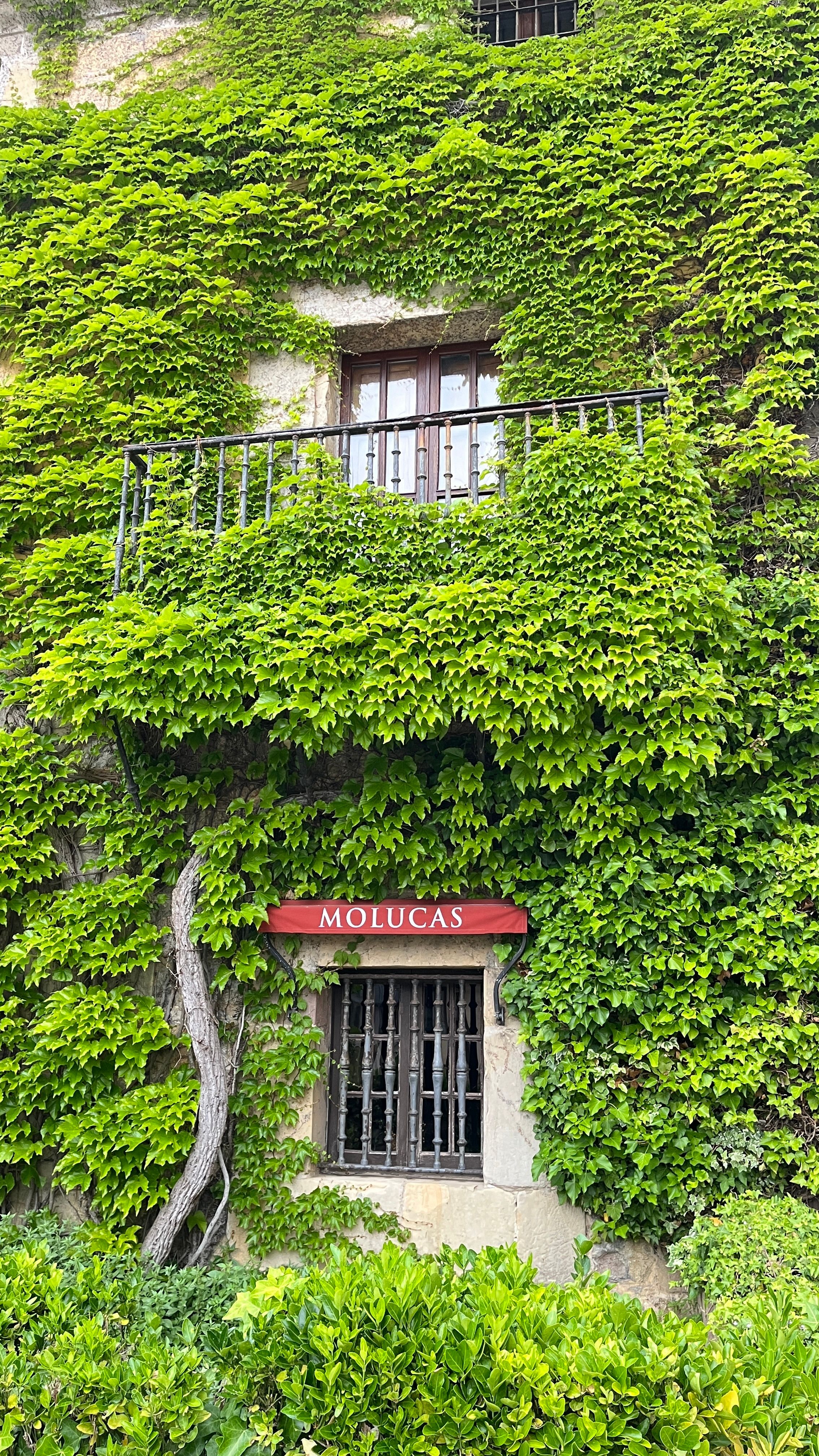 Ivy-Covered Building Facade with Balcony · Free Stock Photo