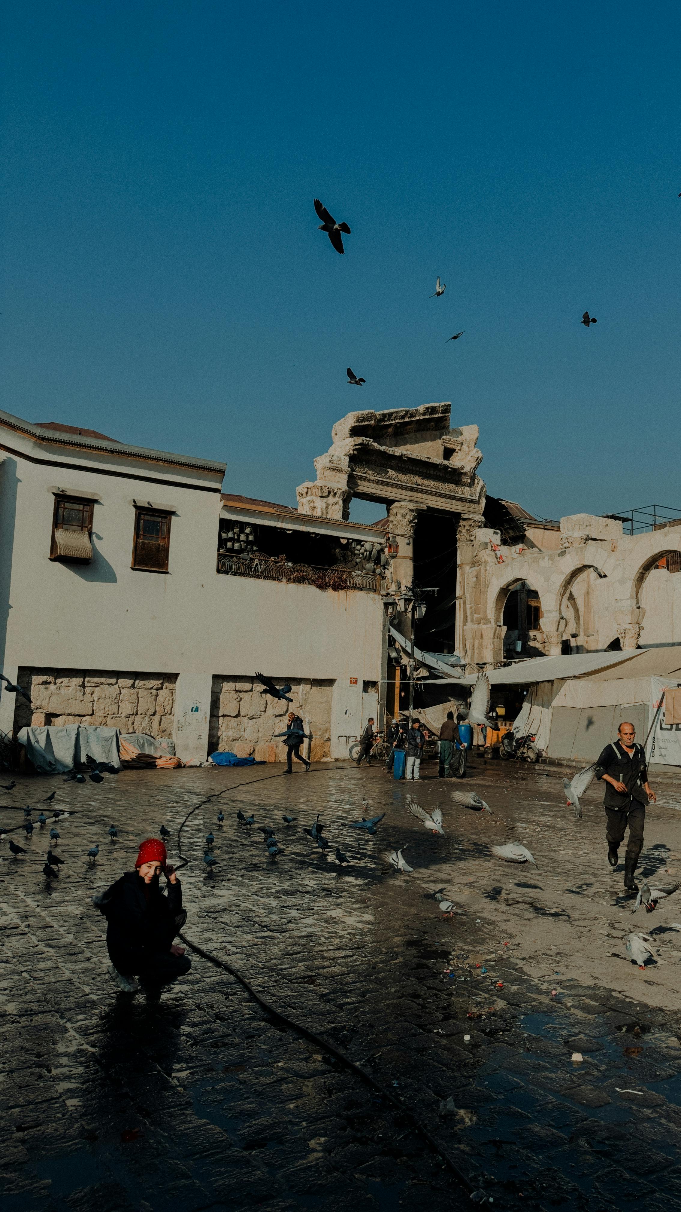 Streets of Syria with Historic Archway and Birds · Free Stock Photo