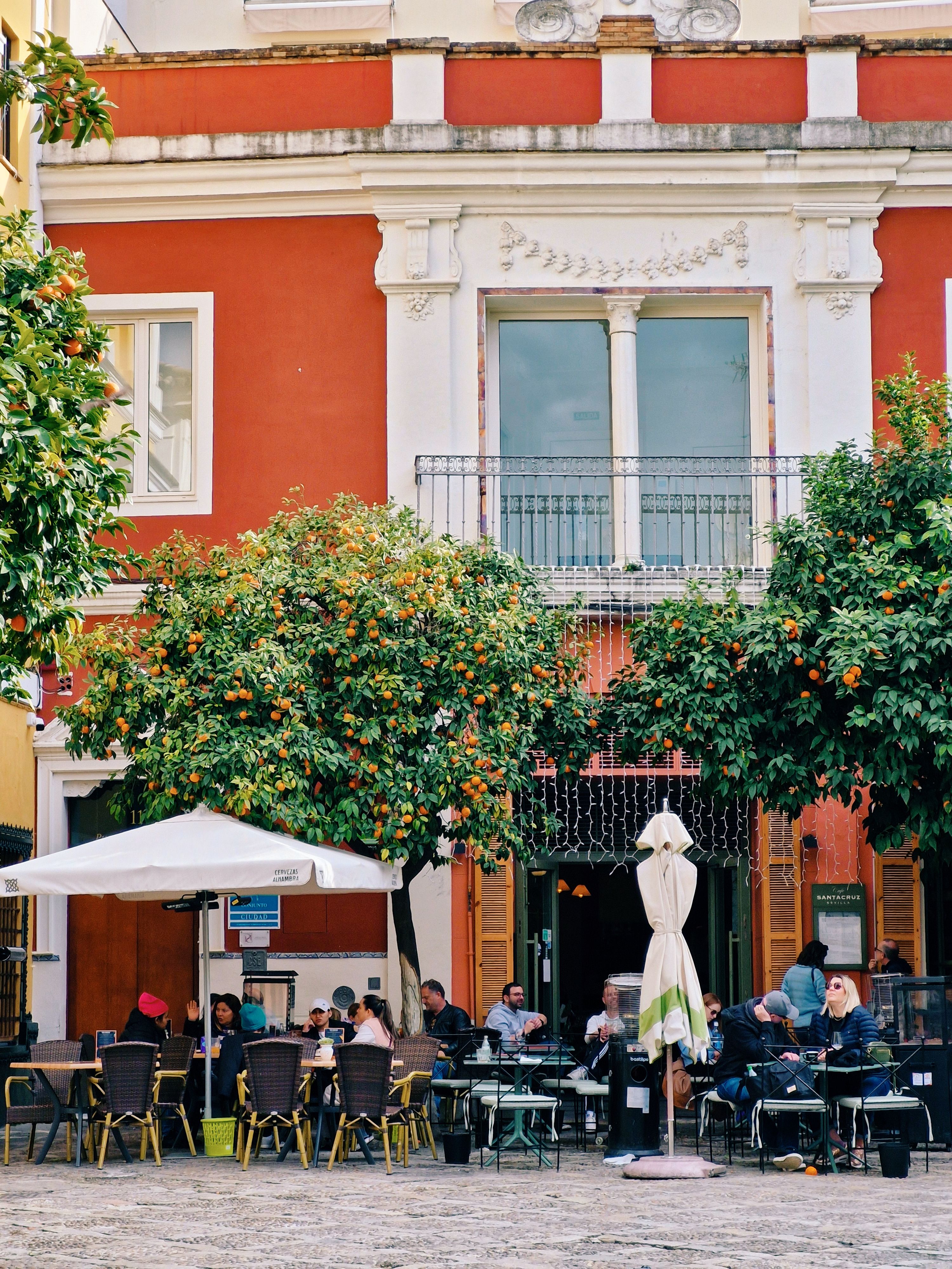 Charming Outdoor Café in Seville, Spain · Free Stock Photo