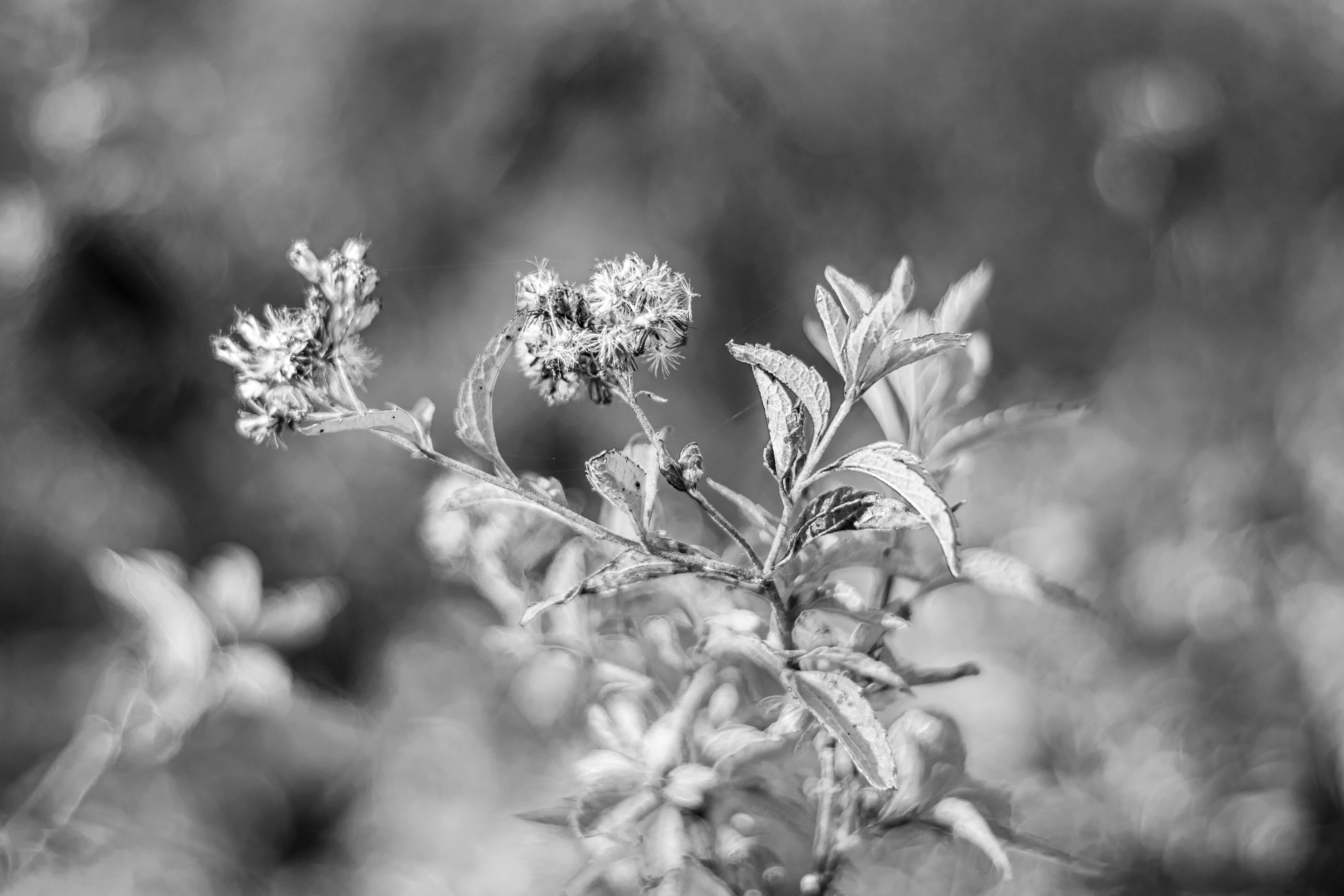 Iso Kaart Photos, Download The BEST Free Iso Kaart Stock Photos & HD Images