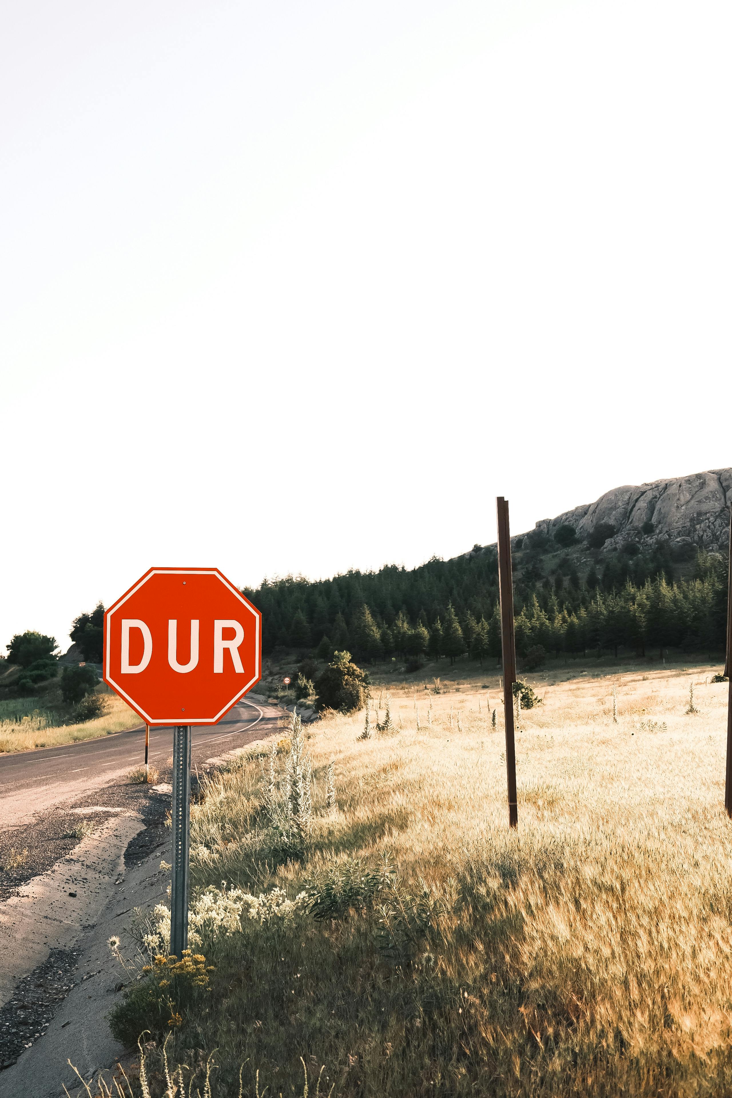 Toddler Sign Language Photos, Download The BEST Free Toddler Sign ...