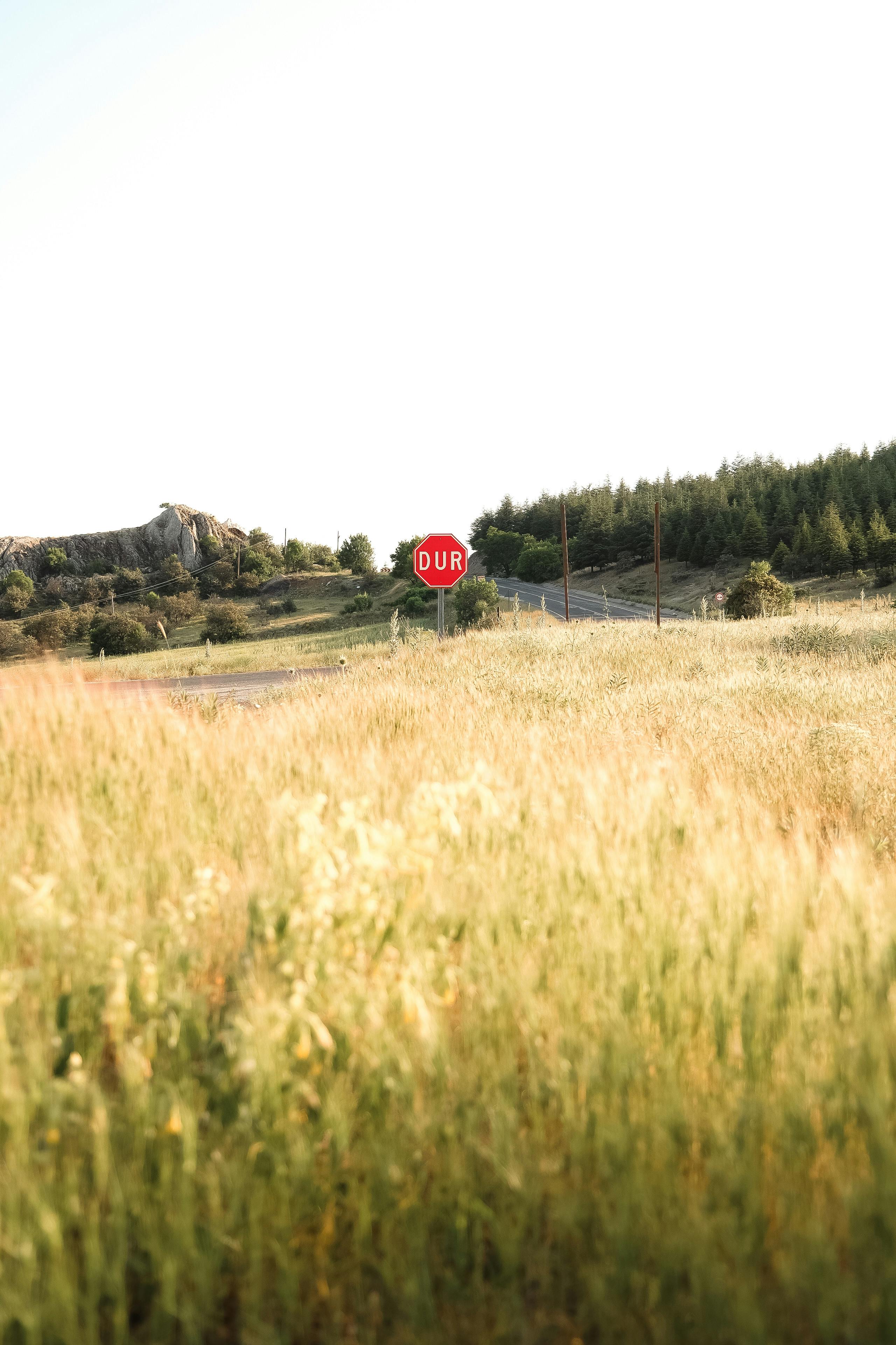 Poster Border Photos, Download The BEST Free Poster Border Stock Photos ...