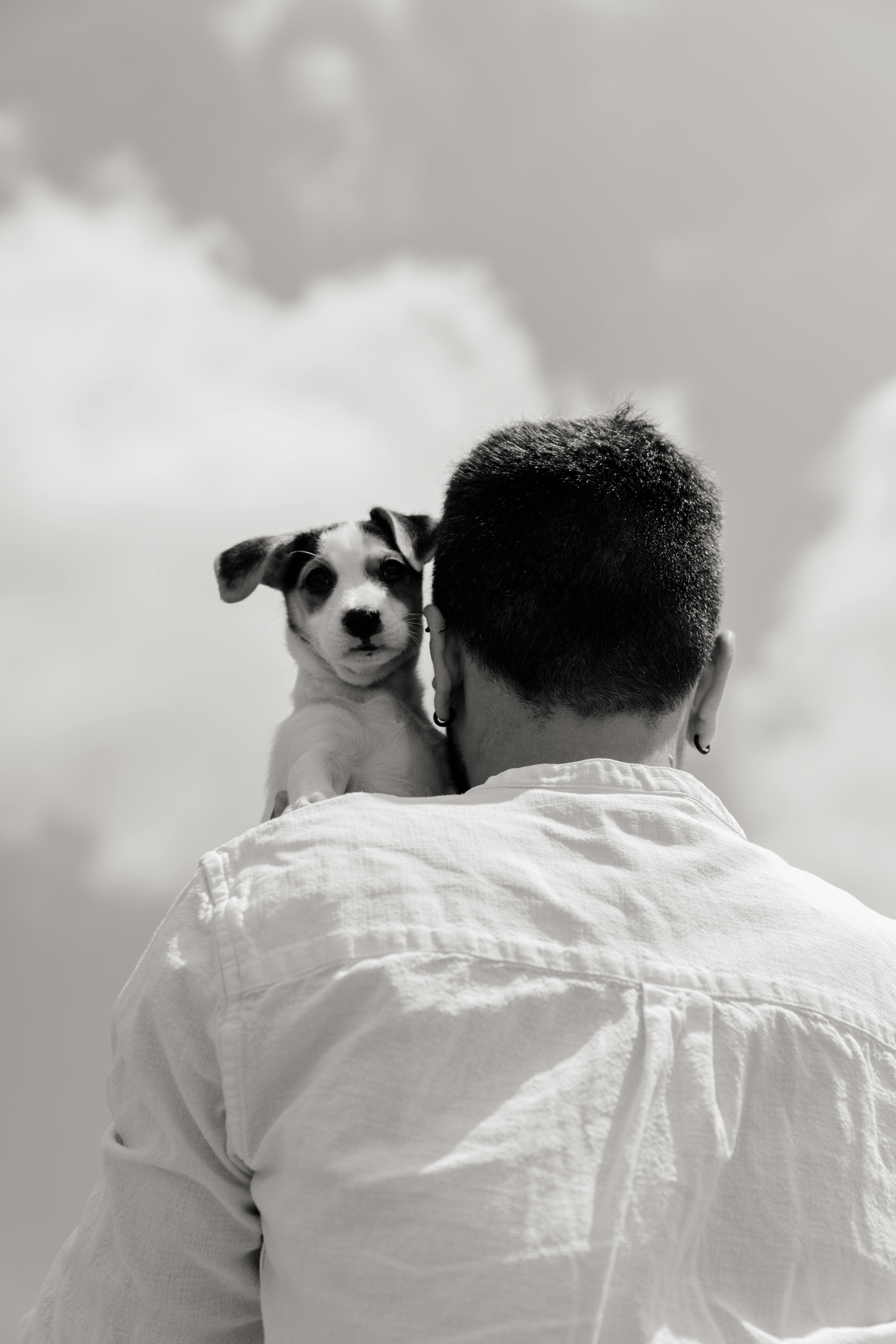 Animal Companion Photos, Download The BEST Free Animal Companion Stock ...