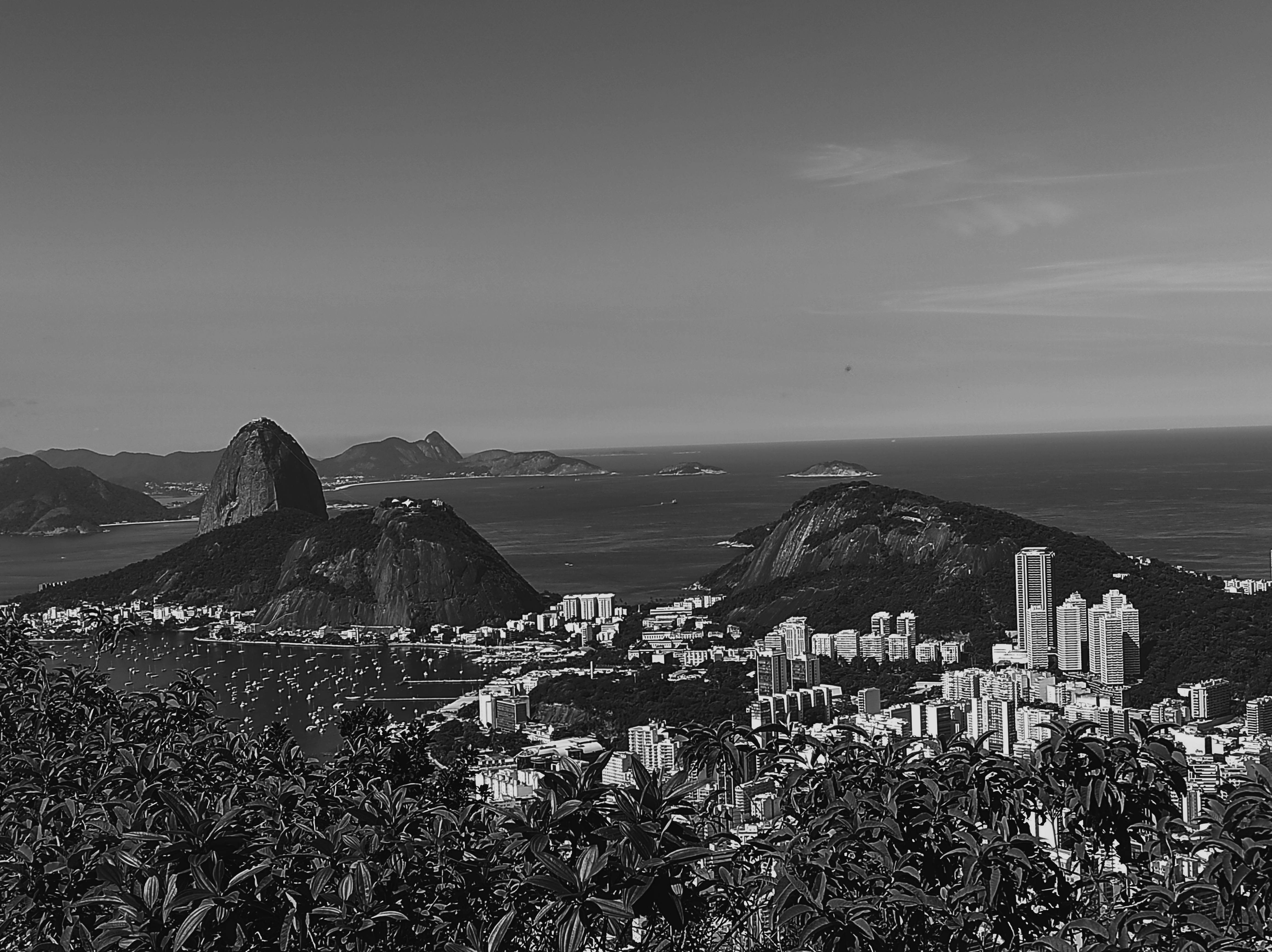 Daniel Bertoli – Fotografia