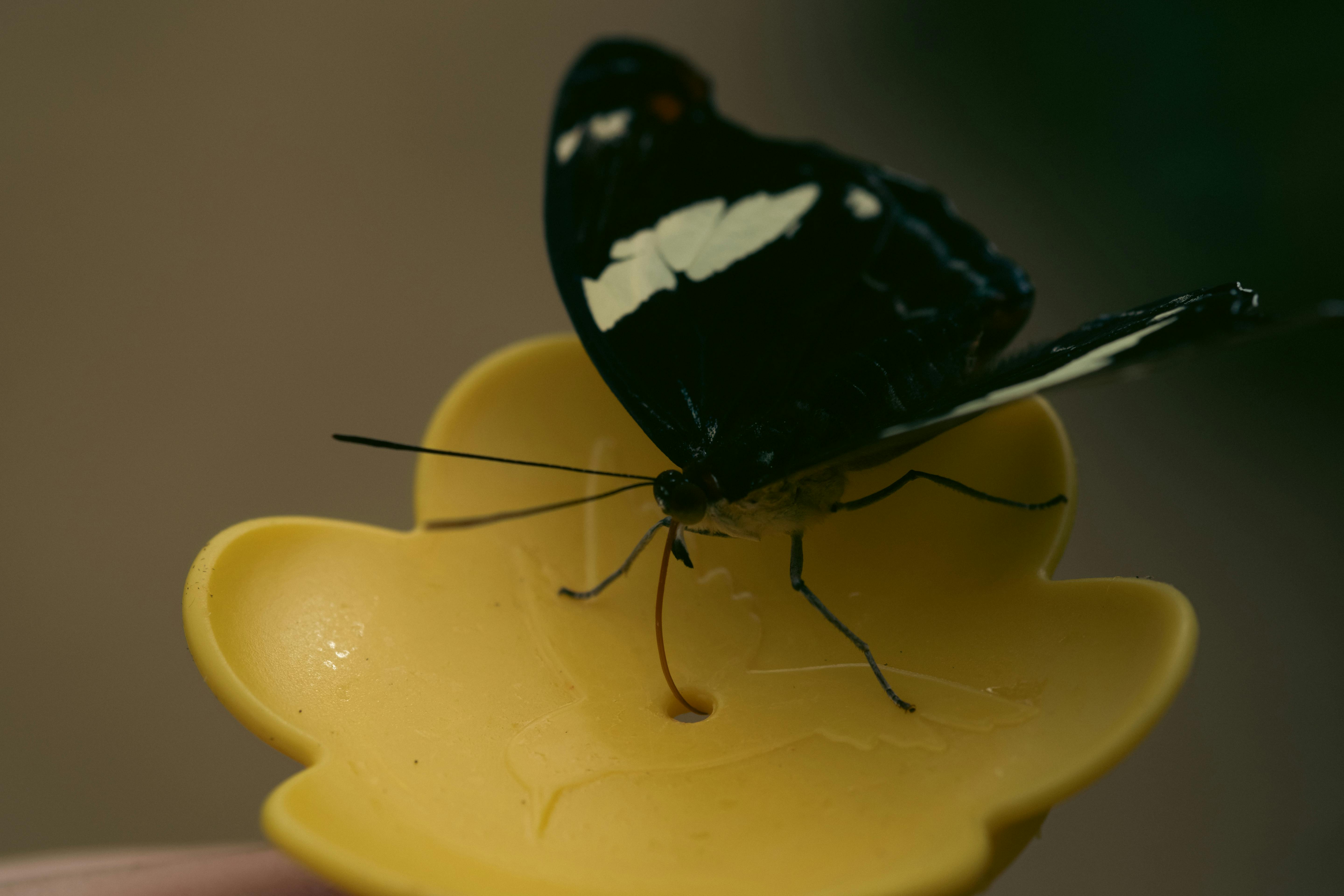 IStock Background Photos, Download The BEST Free IStock Background ...