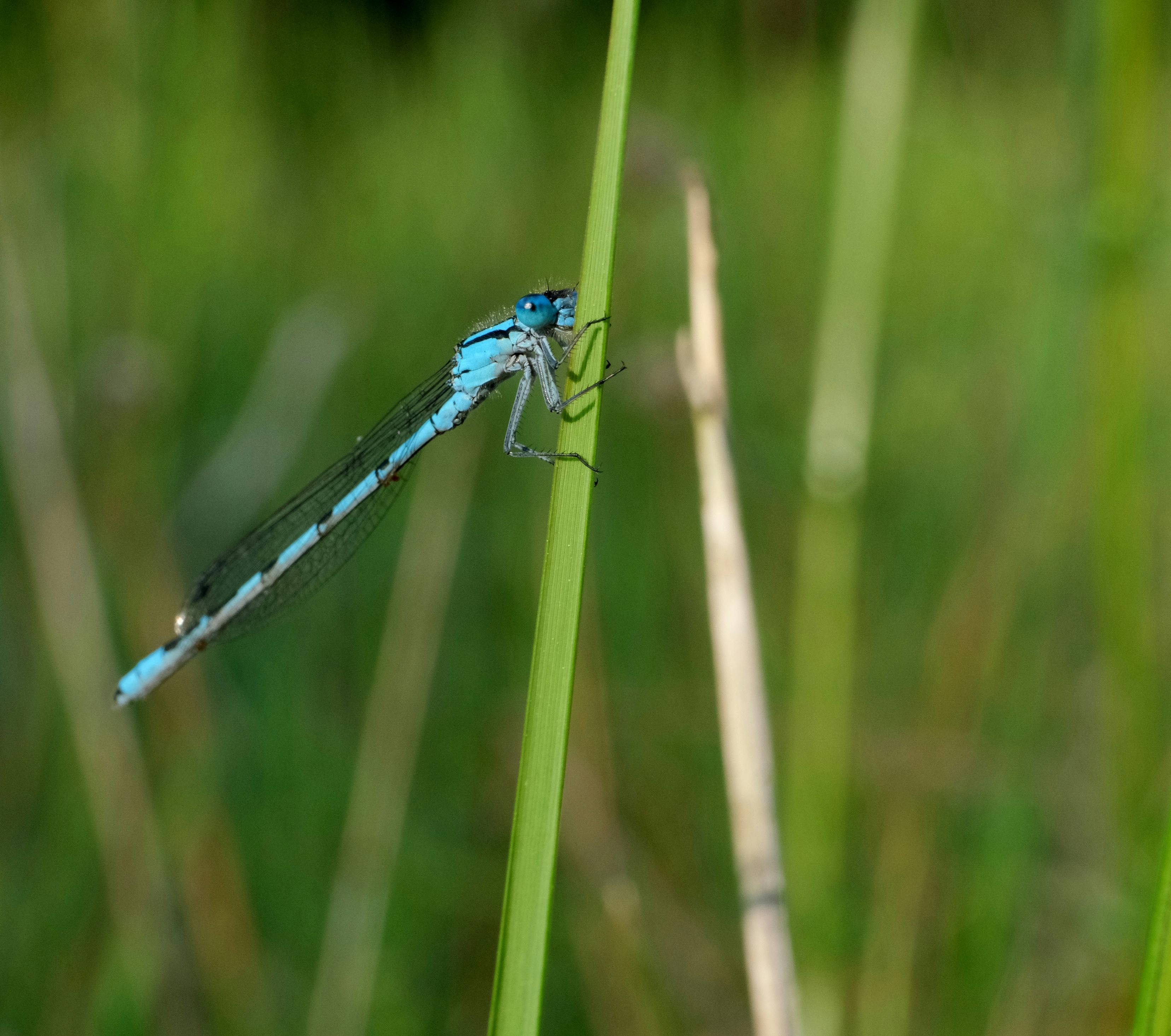 Smallest Amount That Is Allowed Photos, Download The BEST Free Smallest ...