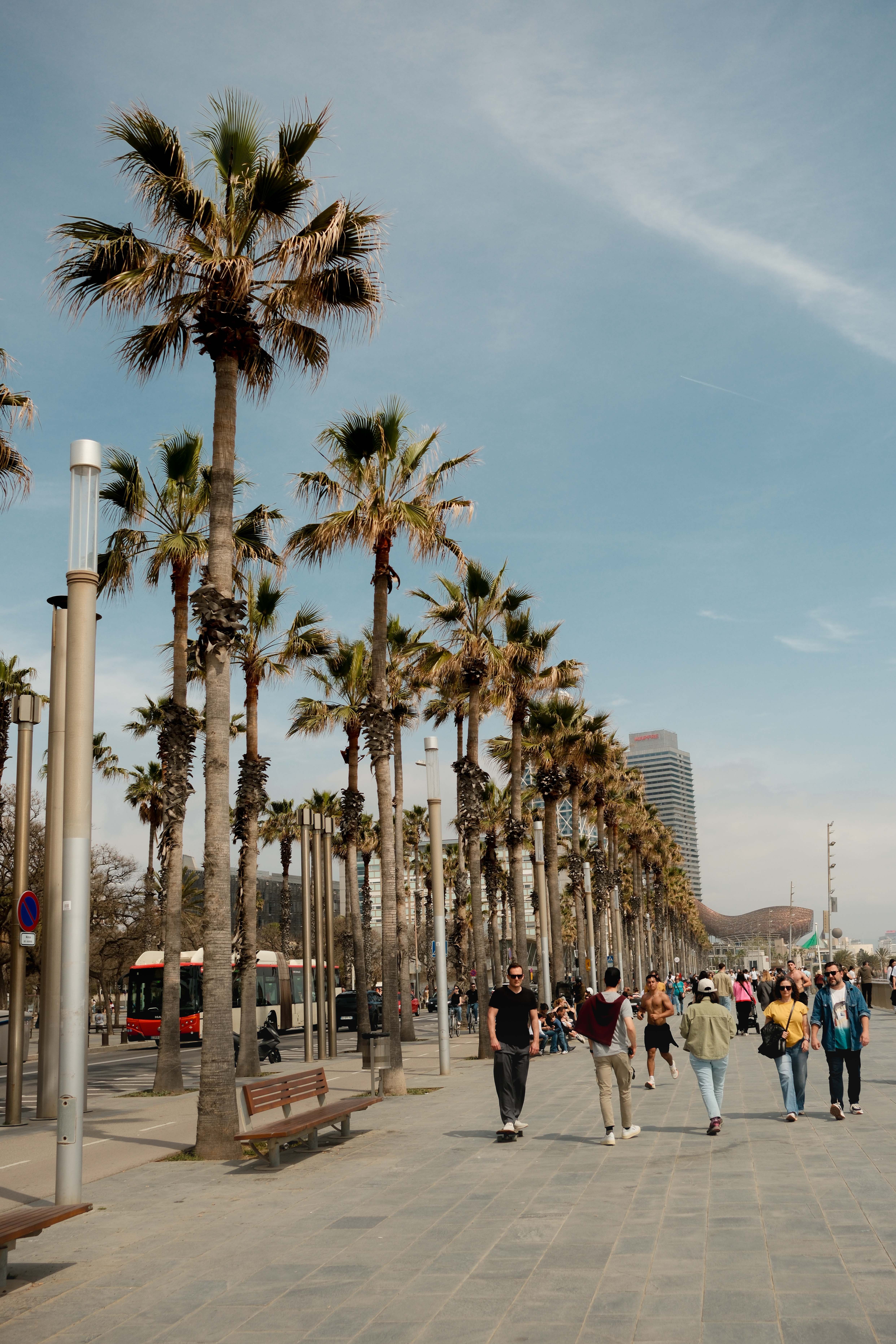 Sunny Day on La Barceloneta Promenade · Free Stock Photo