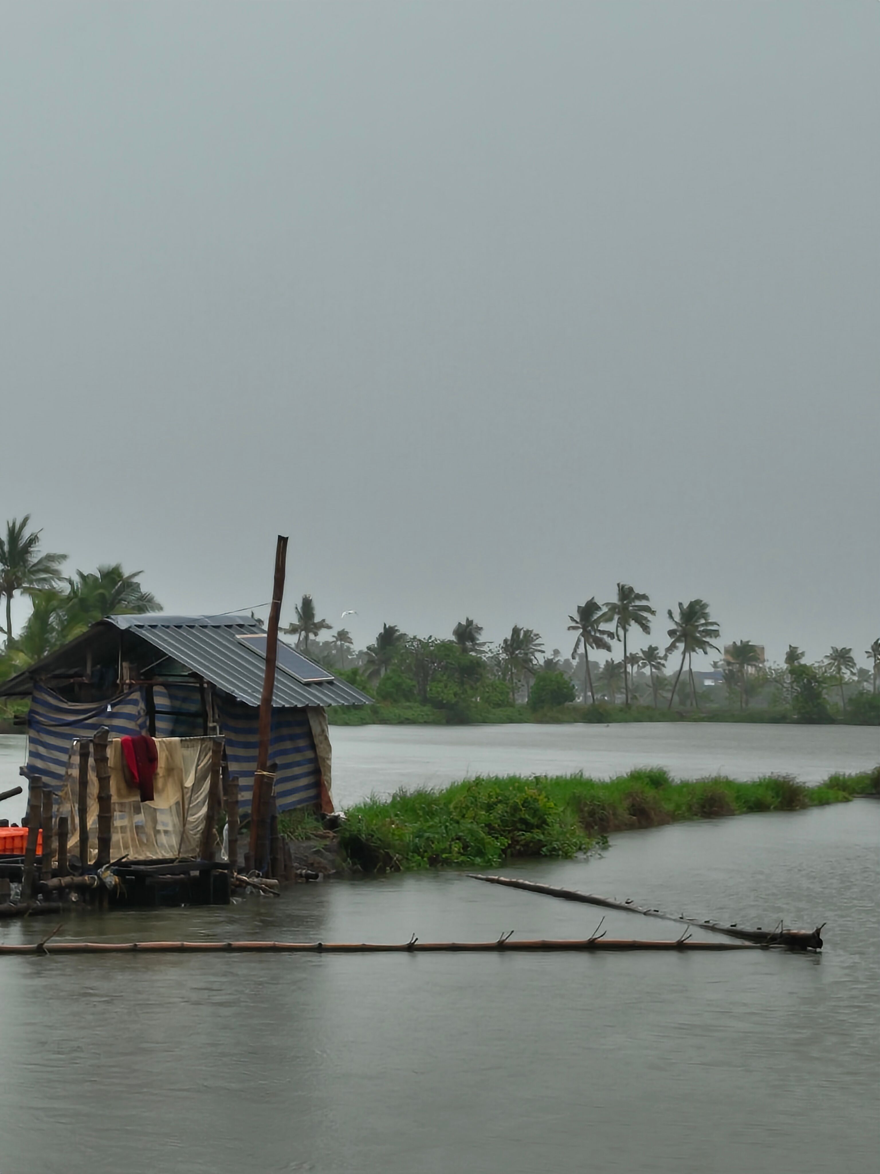 Pondok Sungai Yang Tenang Dikelilingi Alam Yang Rimbun · Foto Stok Gratis