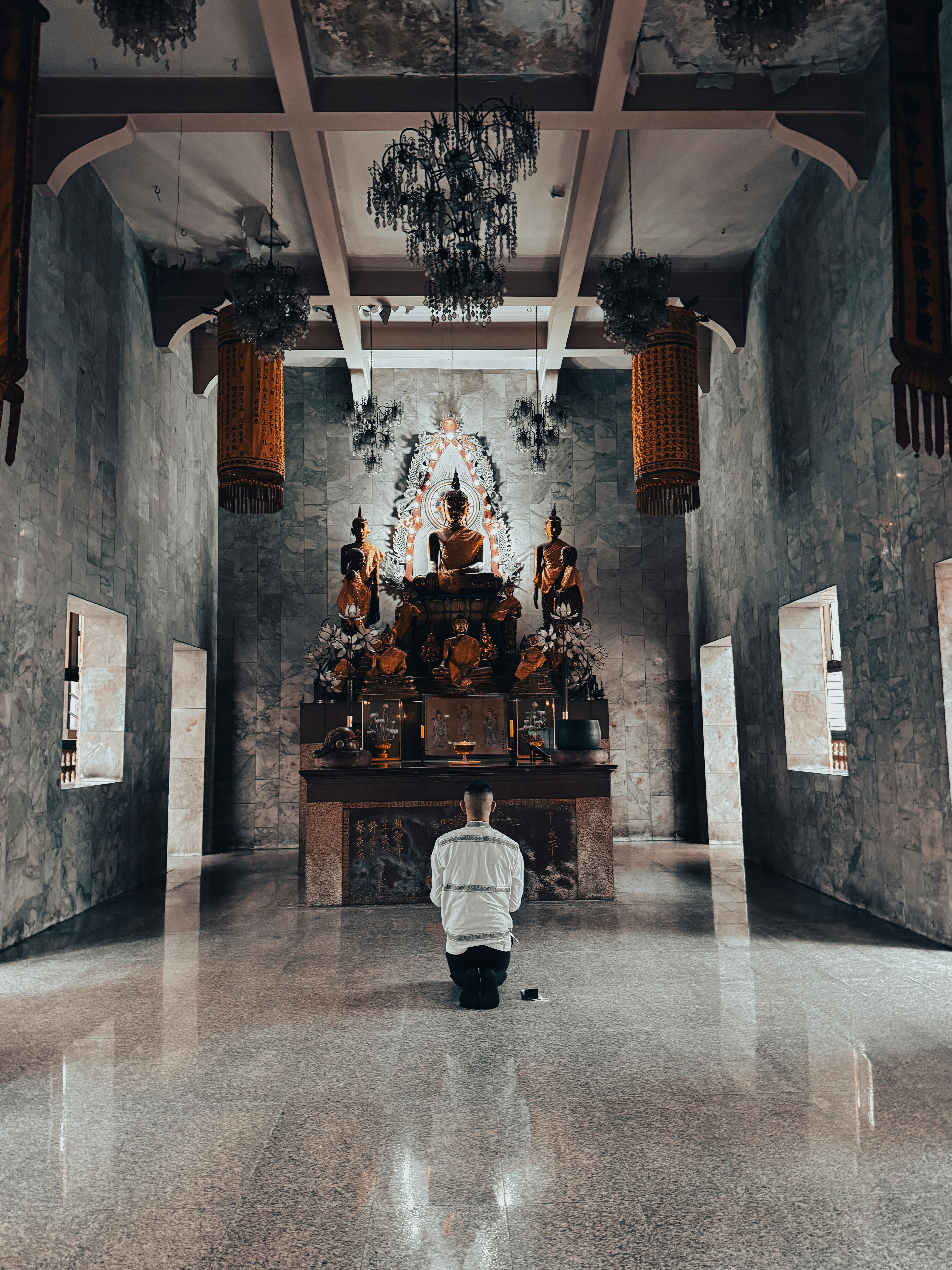 Serene Buddha Shrine Interior with Prayer · Free Stock Photo