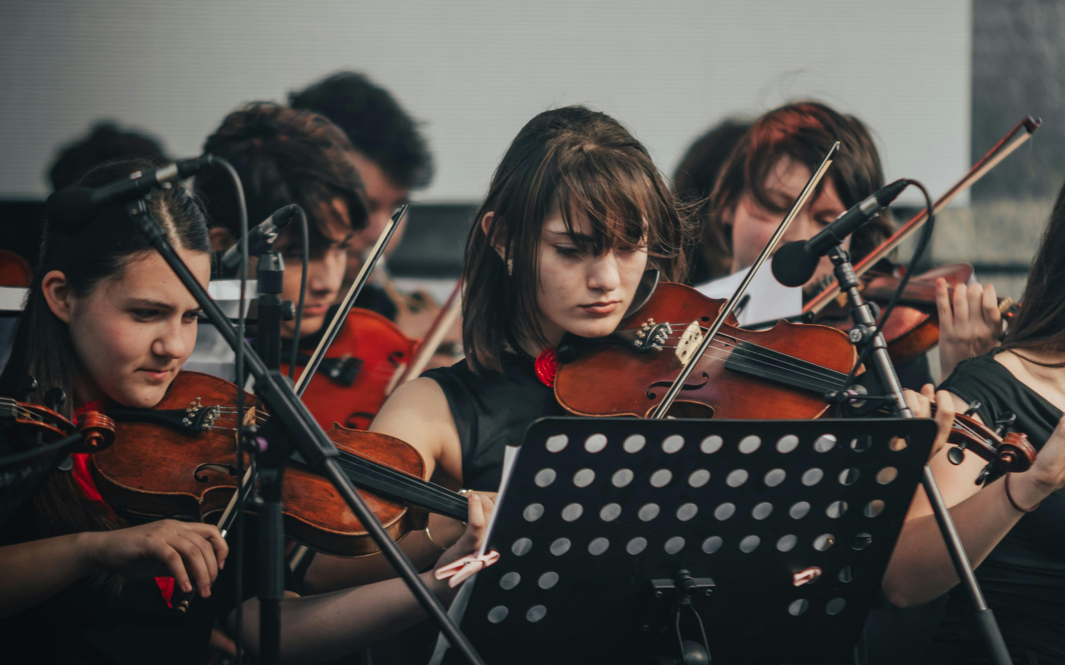 Violin Bow Repair Photos, Download The BEST Free Violin Bow Repair ...