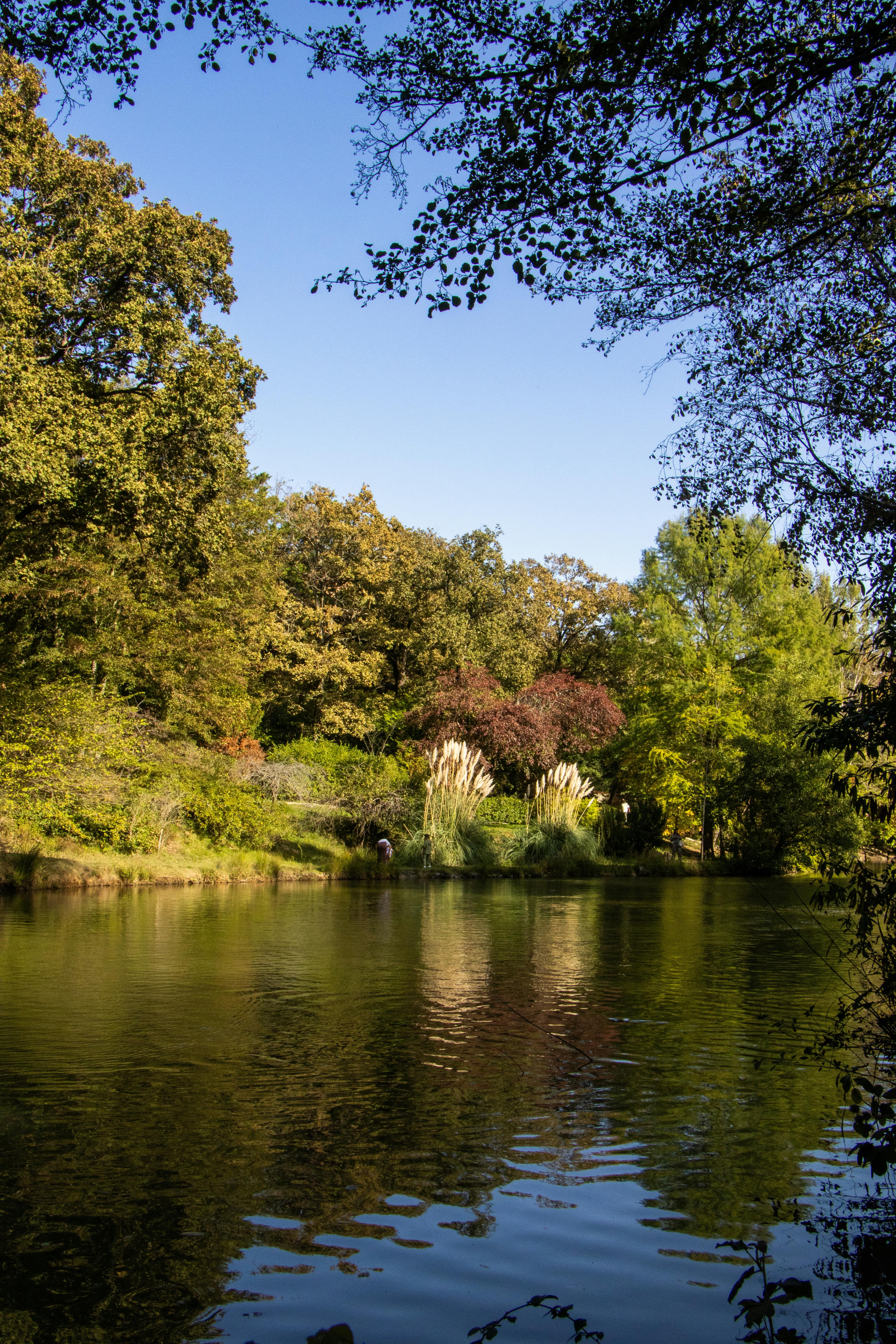 Seems Appealing Photos, Download The BEST Free Seems Appealing Stock ...