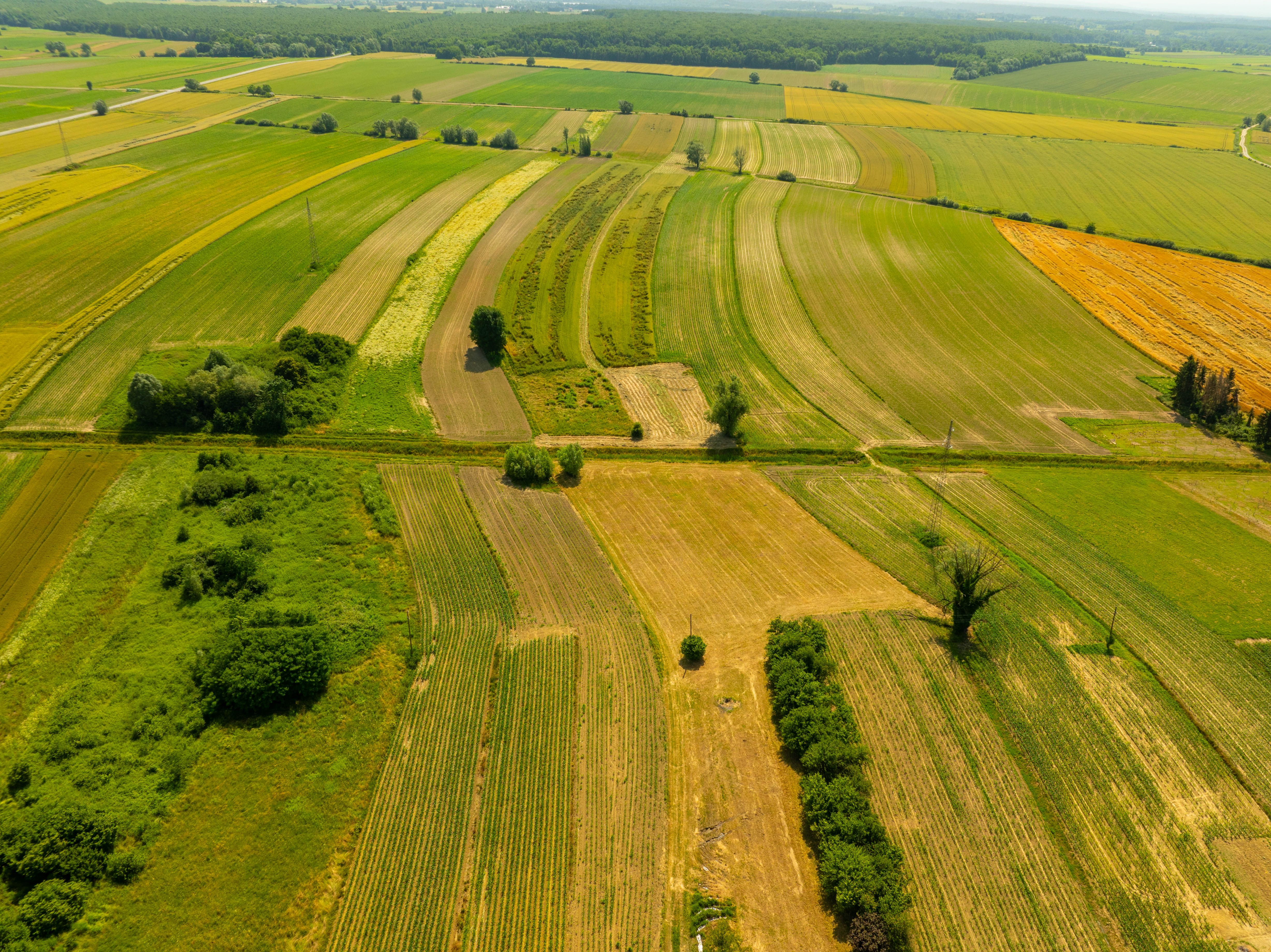 Lush Croatian Farmland Aerial View in Summer · Free Stock Photo