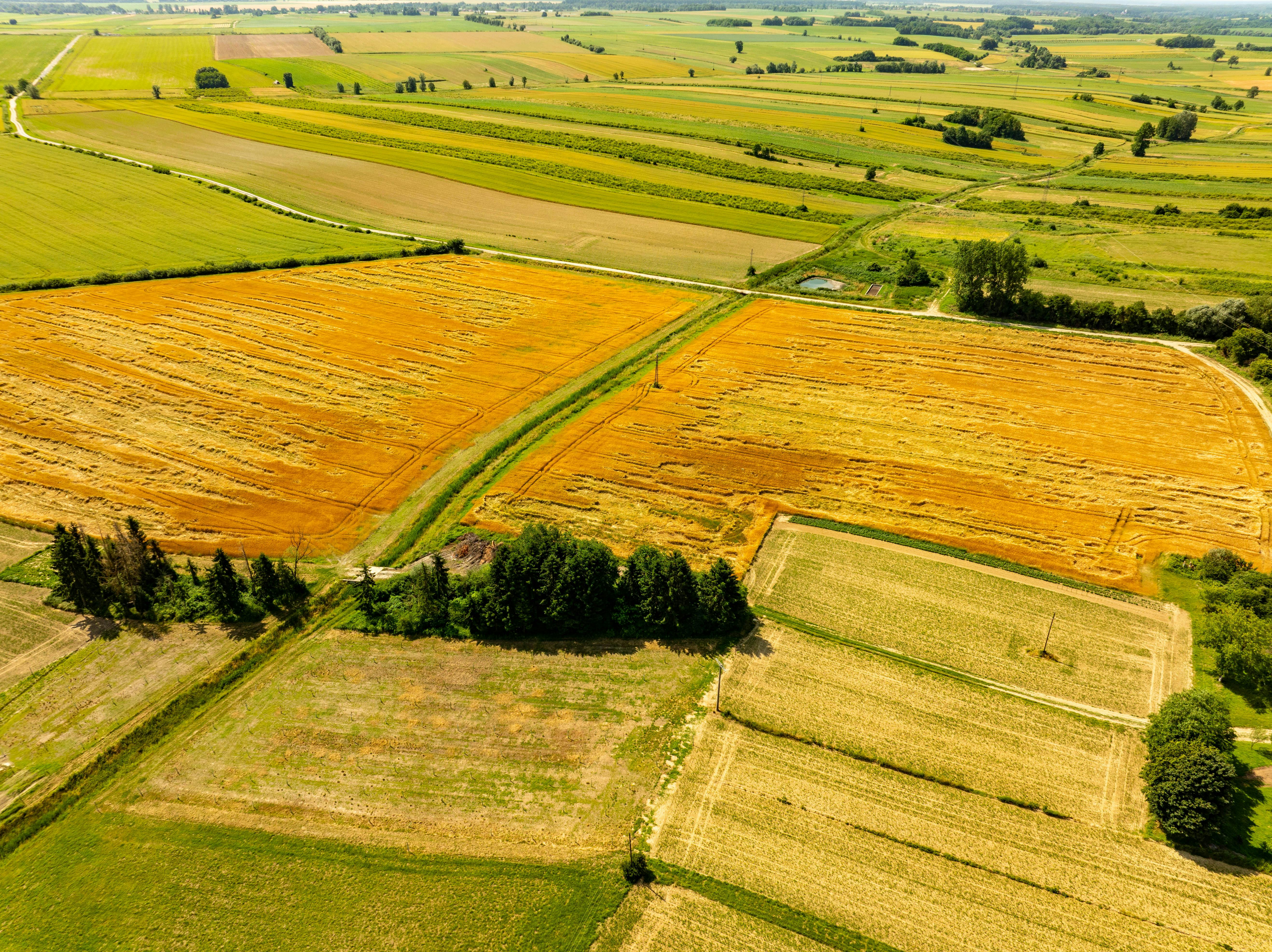 Plantation View Photos, Download The BEST Free Plantation View Stock ...