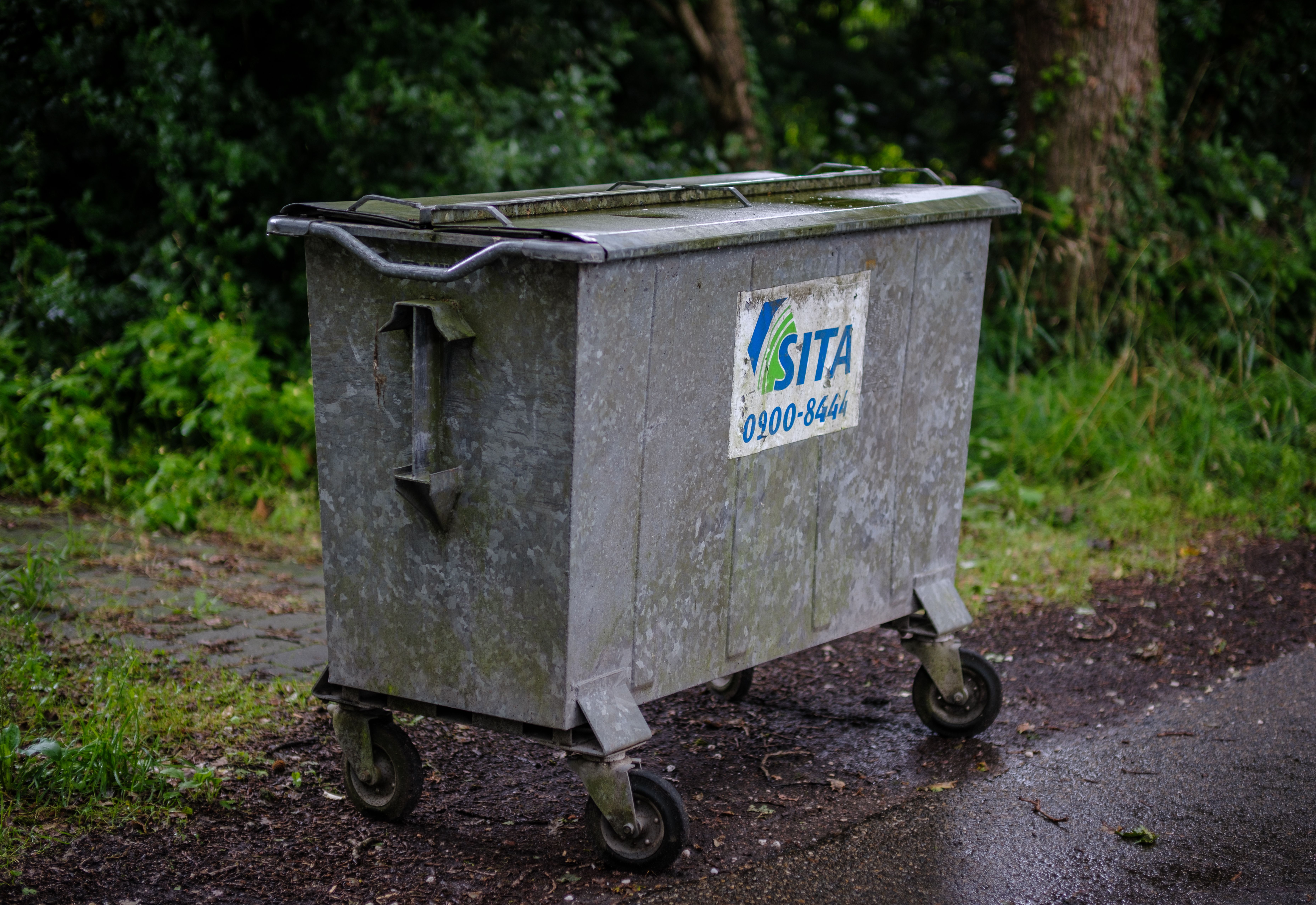 Metal Waste Bin on Woodland Pathway in Utrecht · Free Stock Photo