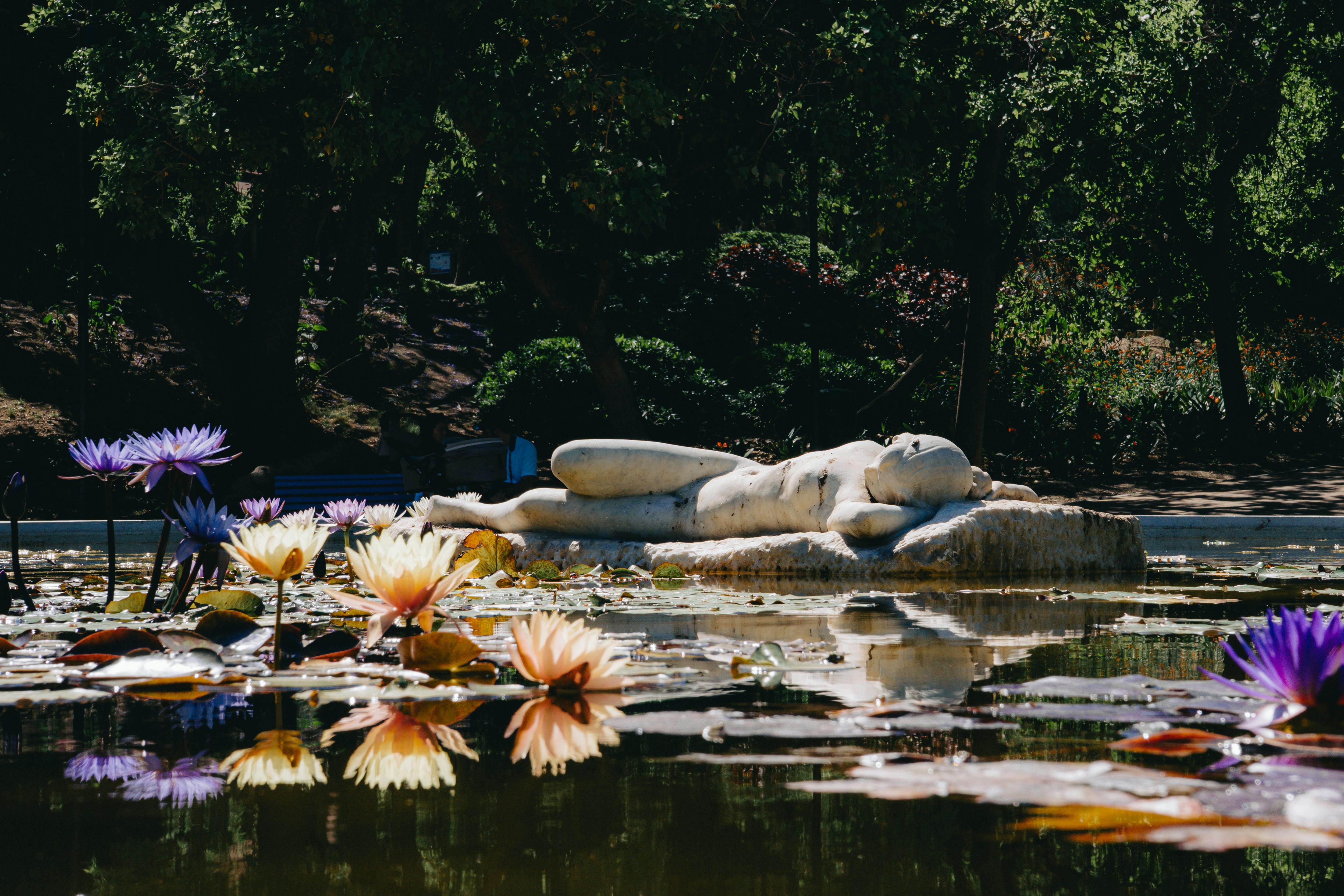 Spanish Photos, Download The BEST Free Spanish Stock Photos & HD Images