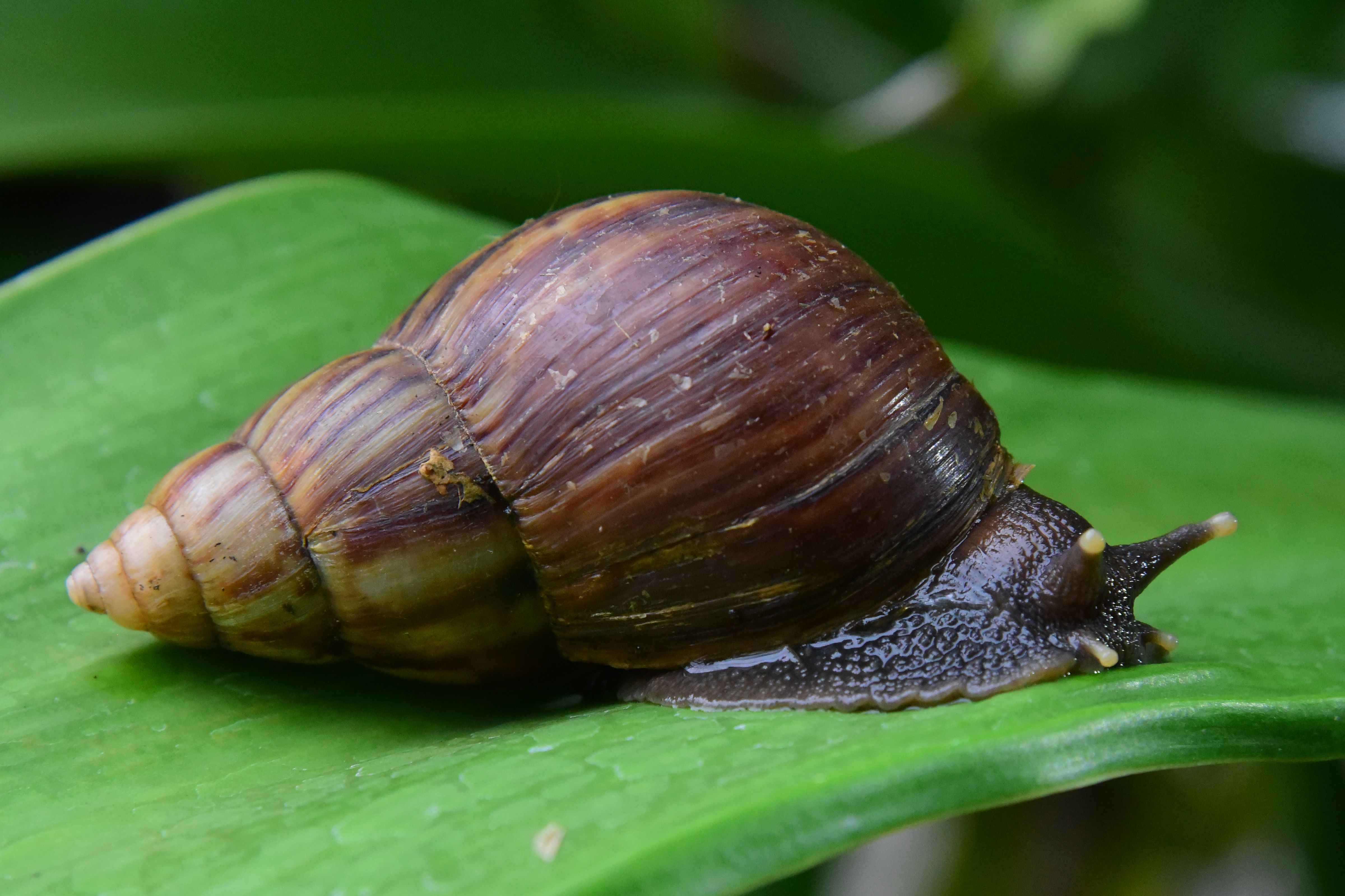 Is it safe to swim in a slimy pool? Find out the truth now!