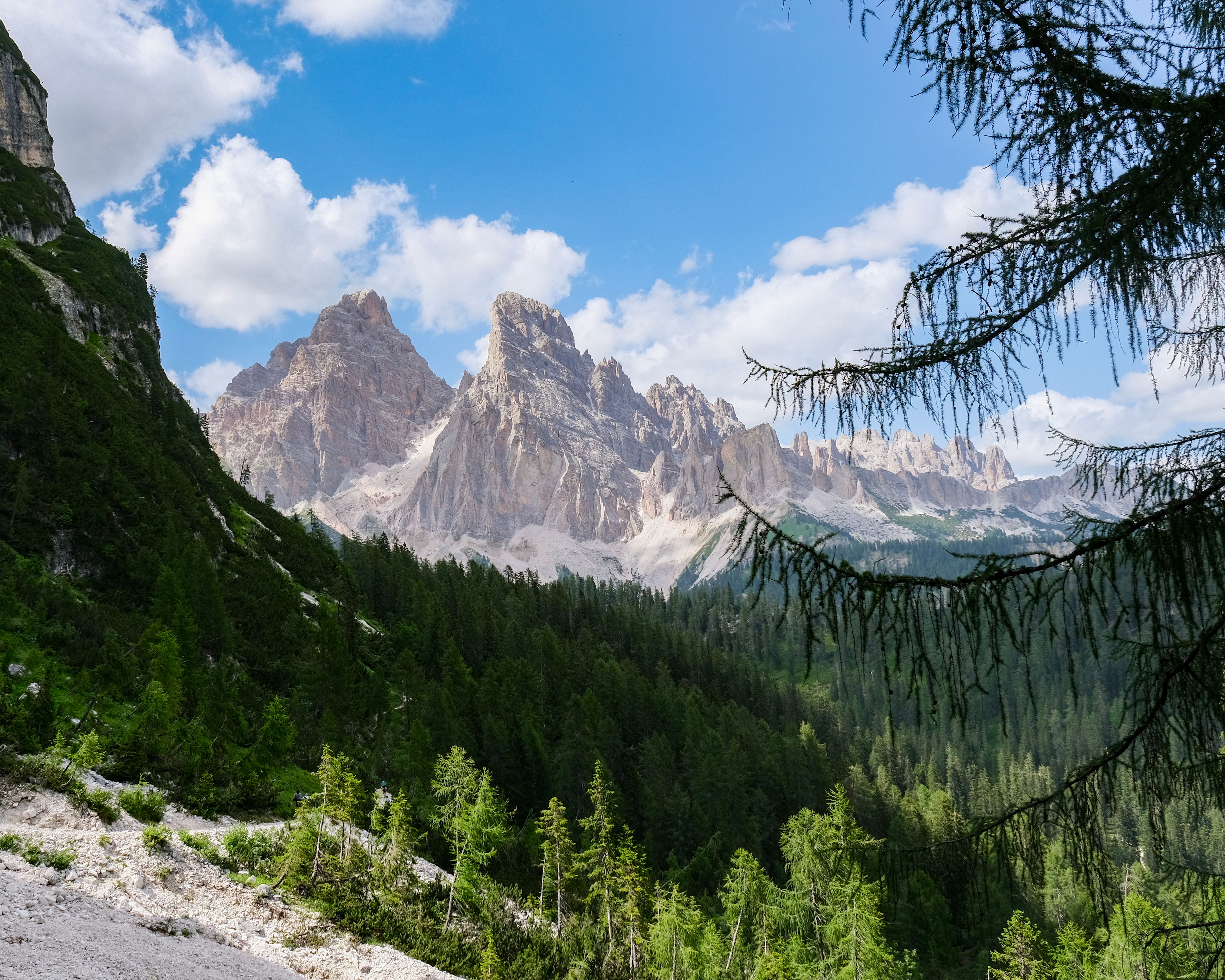 Mountain Landscape with Forest Pathway · Free Stock Photo