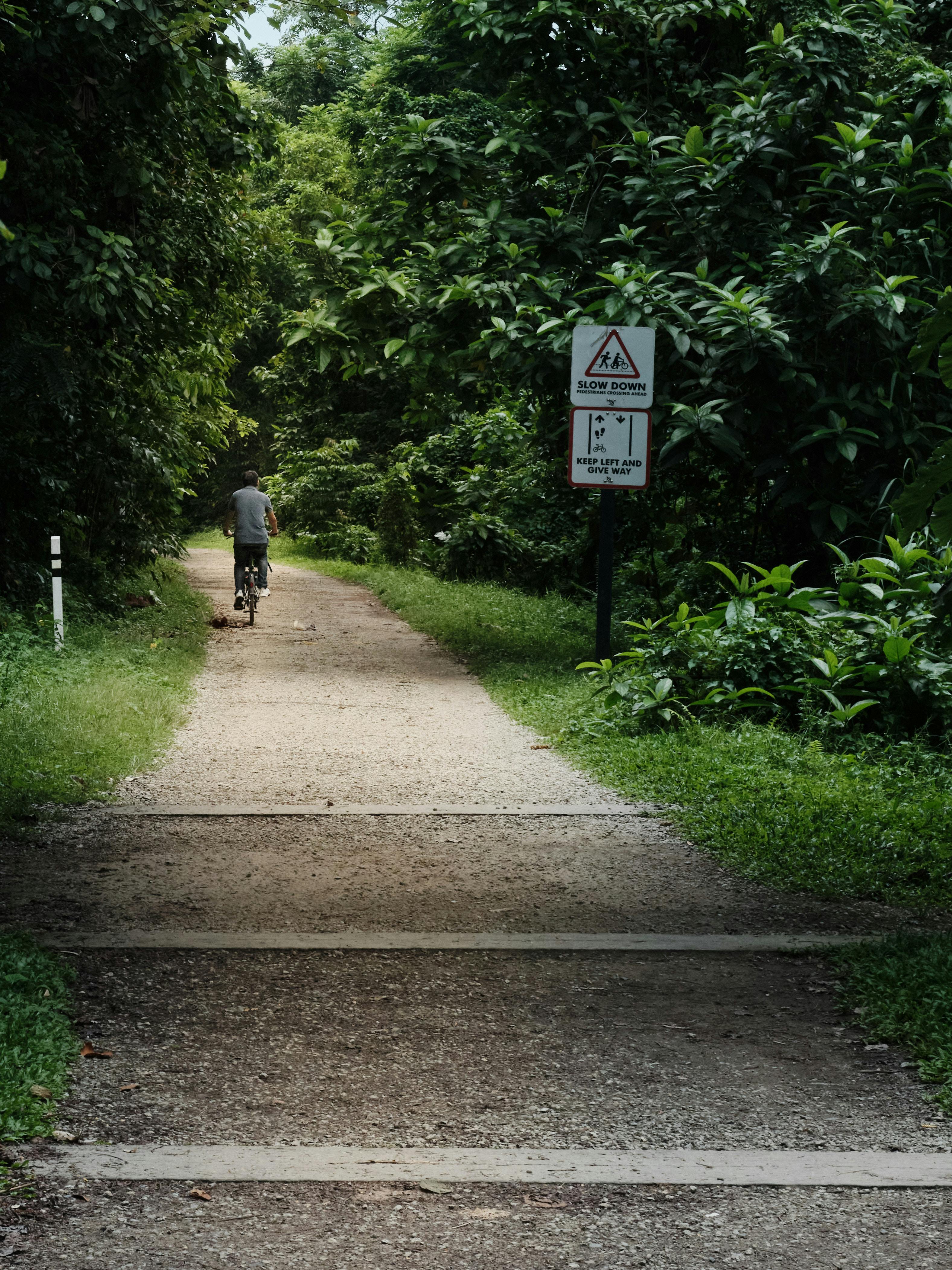 Bike Ride Photos, Download The BEST Free Bike Ride Stock Photos & HD Images