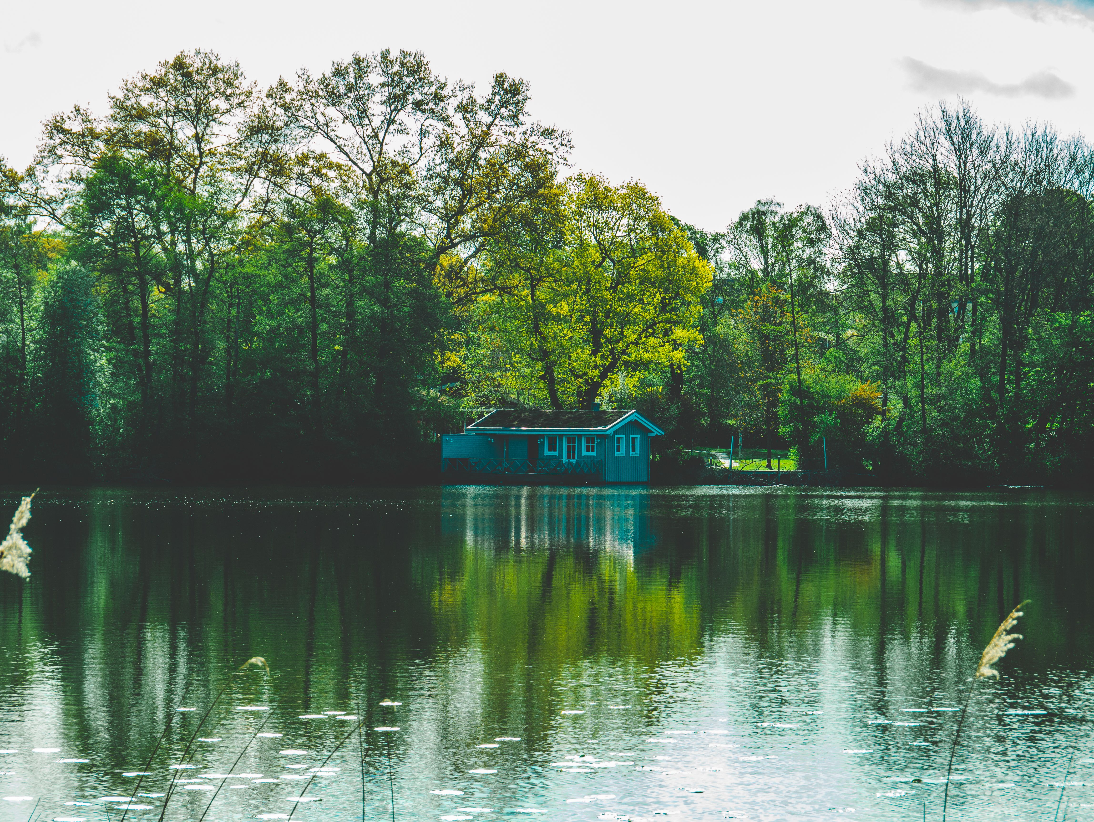 Casa Tranquila Junto Al Lago En Un Entorno Verde Y Exuberante · Foto de ...