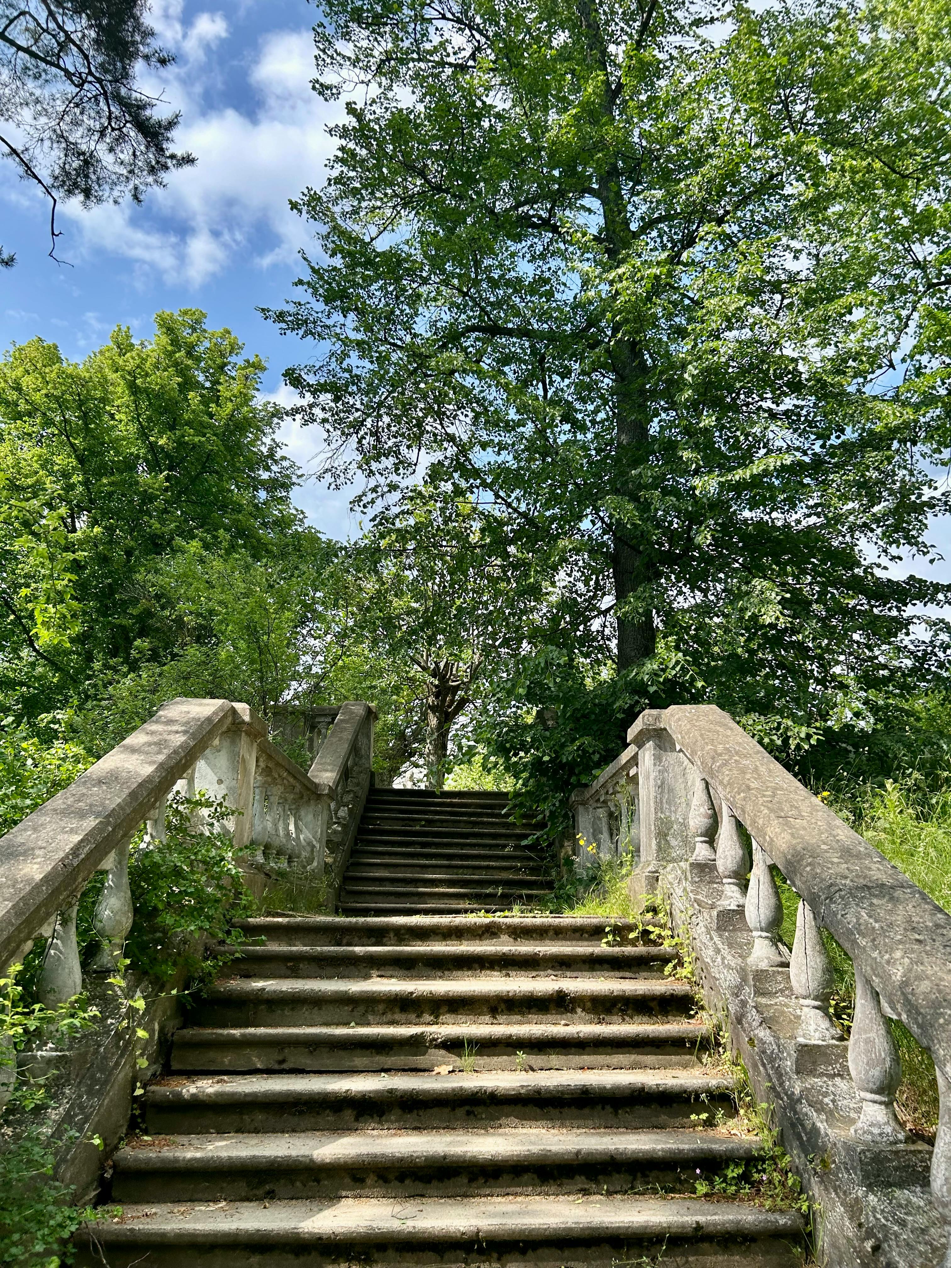 Old Stone Staircase in Lush Green Forest · Free Stock Photo