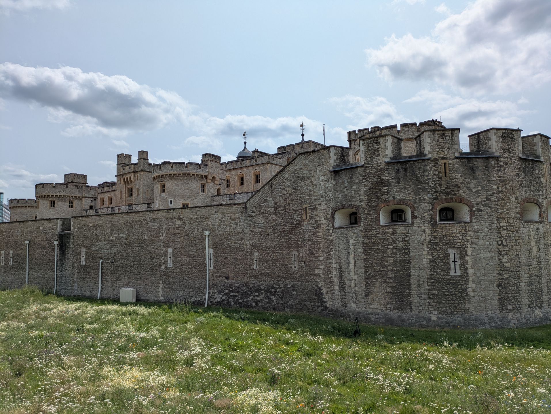 Tower of London Ravens: History, Care, and Legend Explained
