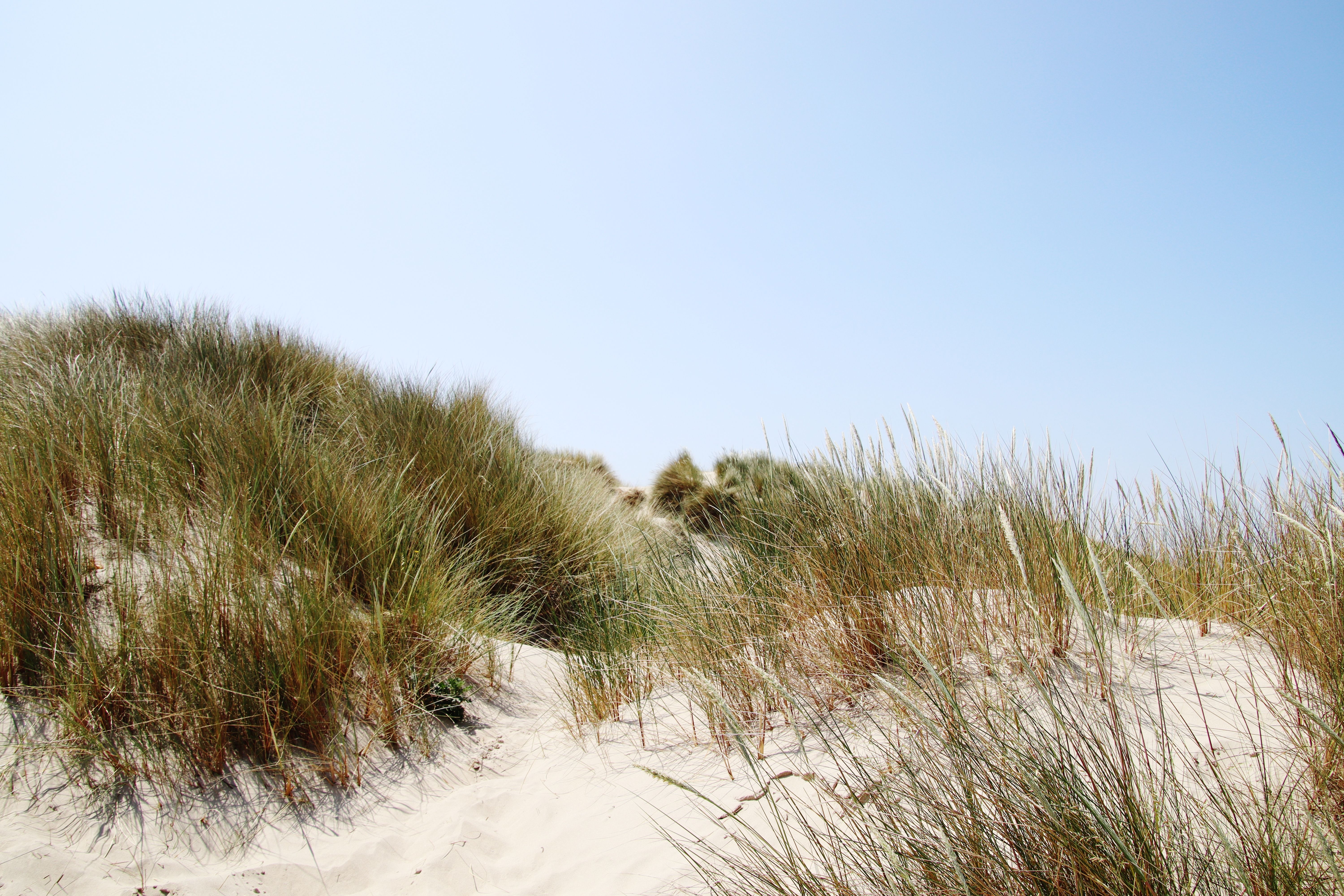 Bray Dunes Photos, Download The BEST Free Bray Dunes Stock Photos & HD ...