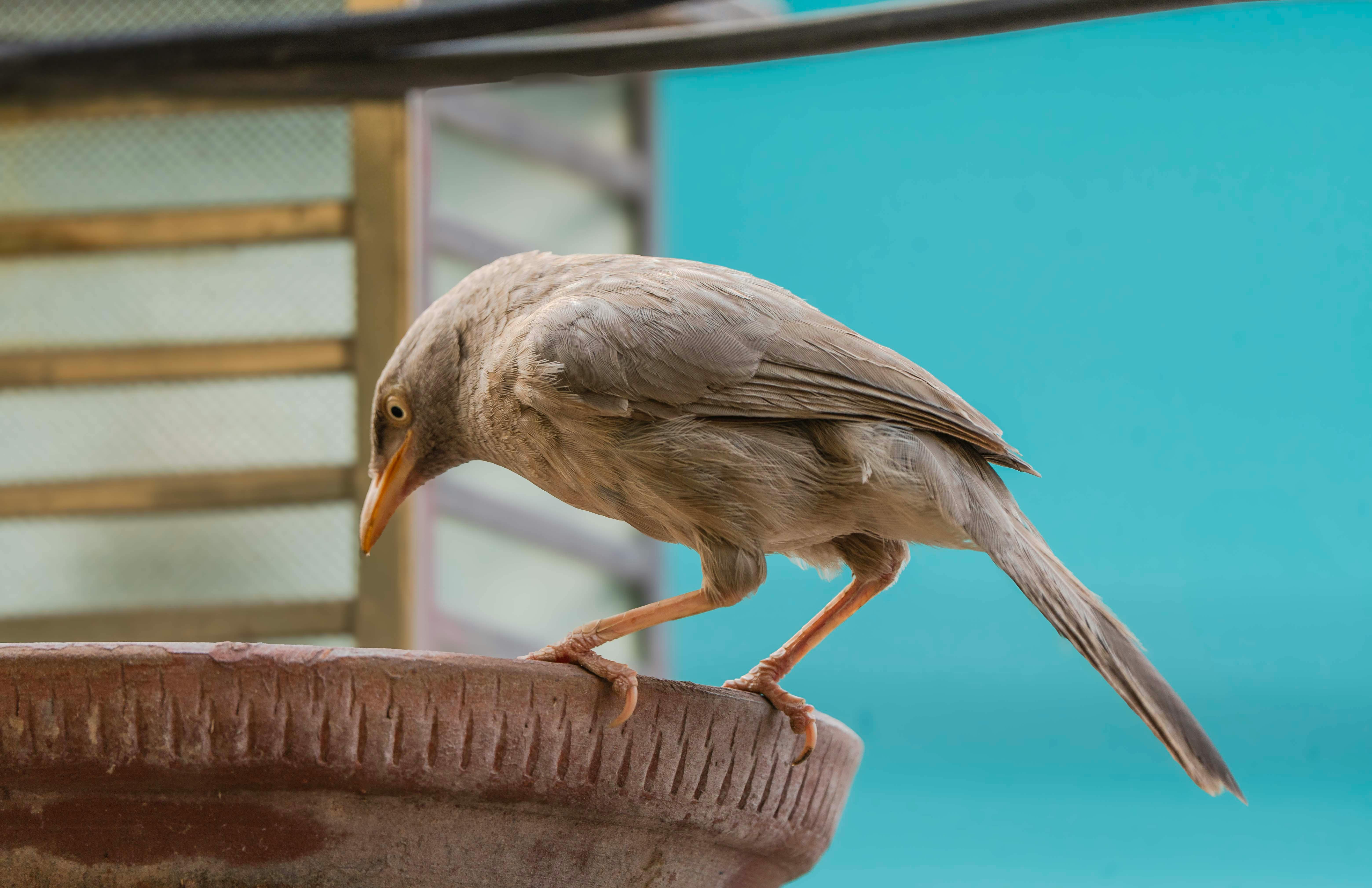 40 000+ Tampon+image banque d’images et photos libres de droit ...