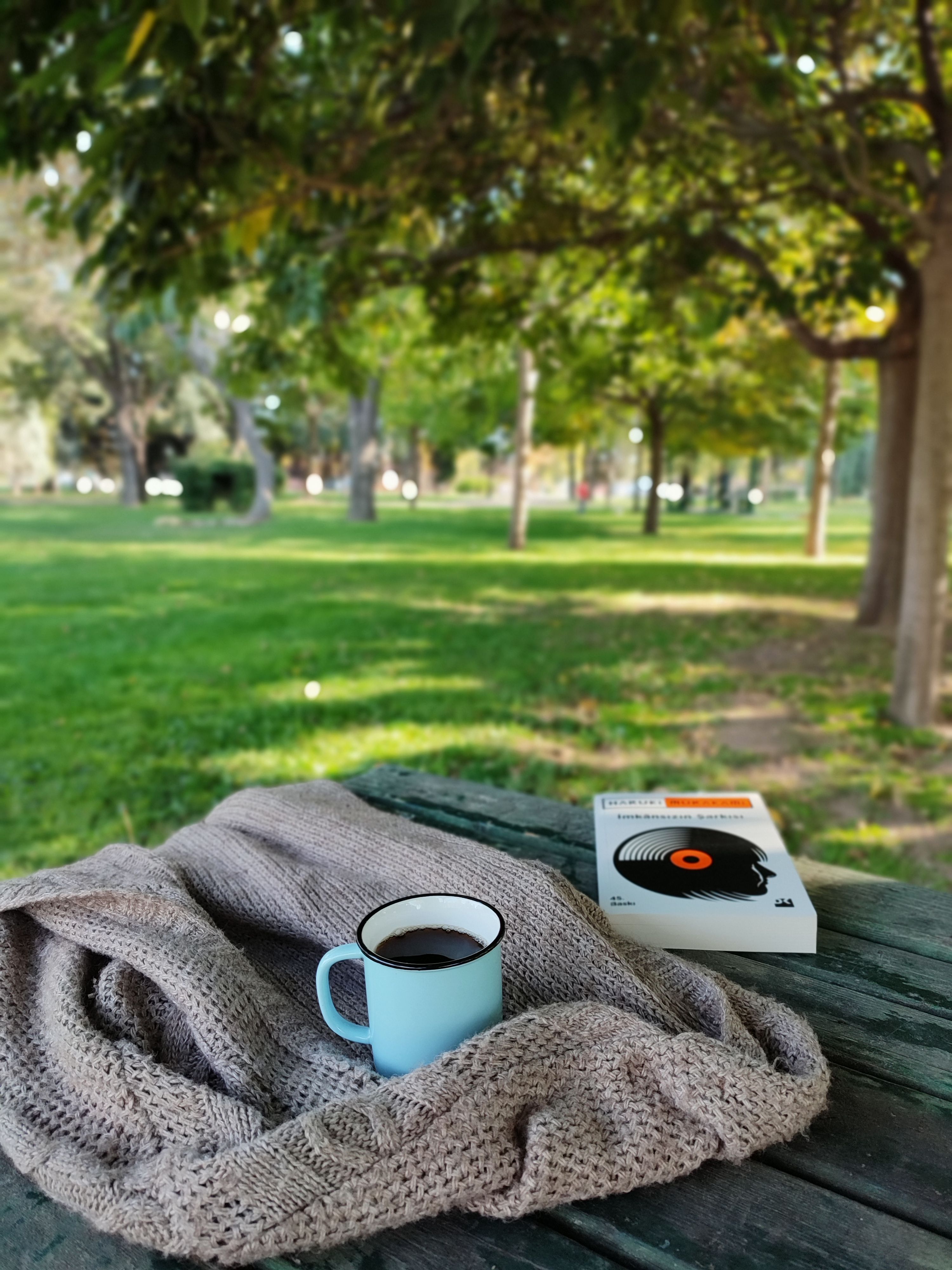 Cozy Outdoor Coffee with a Book Under Trees · Free Stock Photo