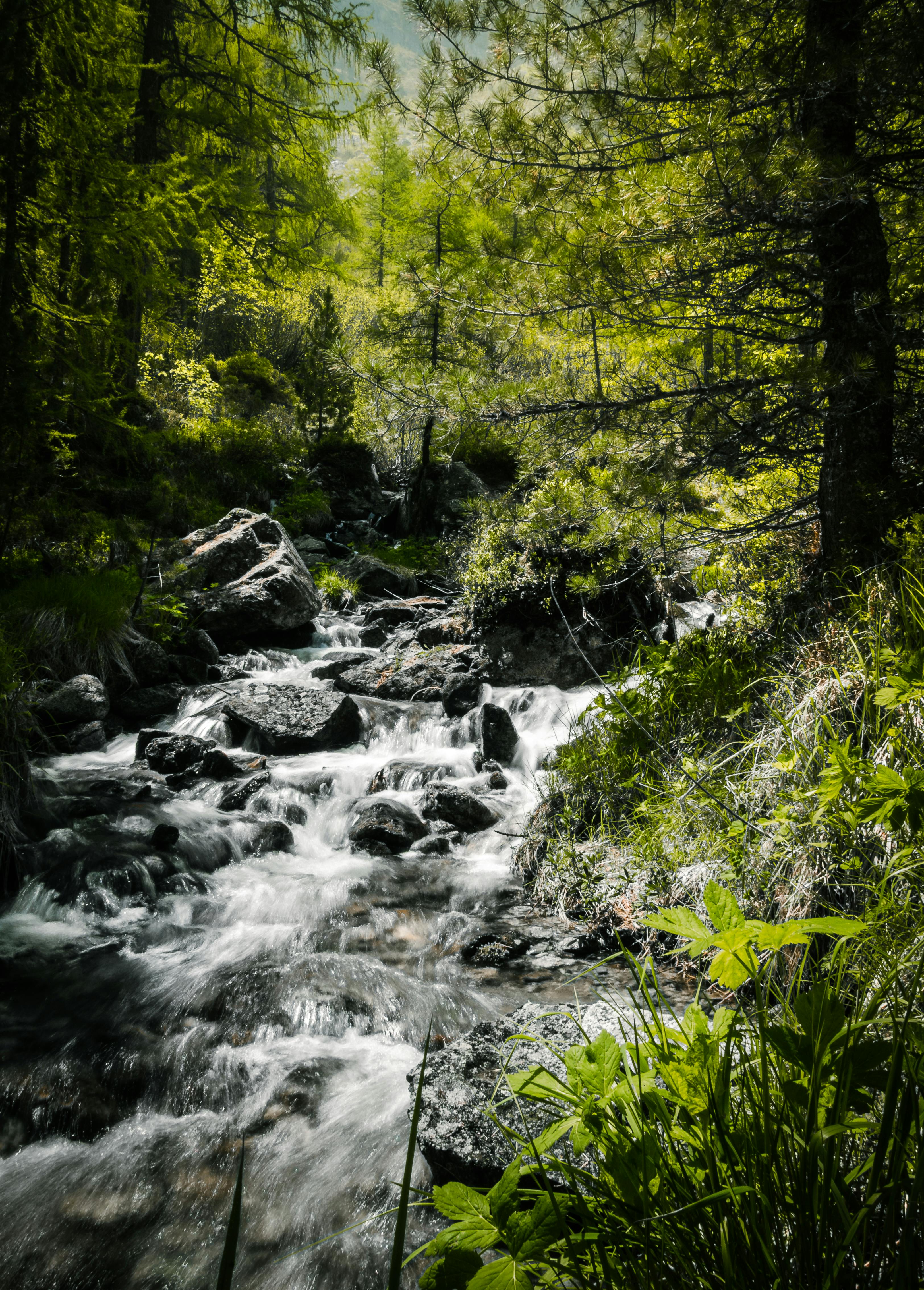 Calming Photos, Download The BEST Free Calming Stock Photos & HD Images