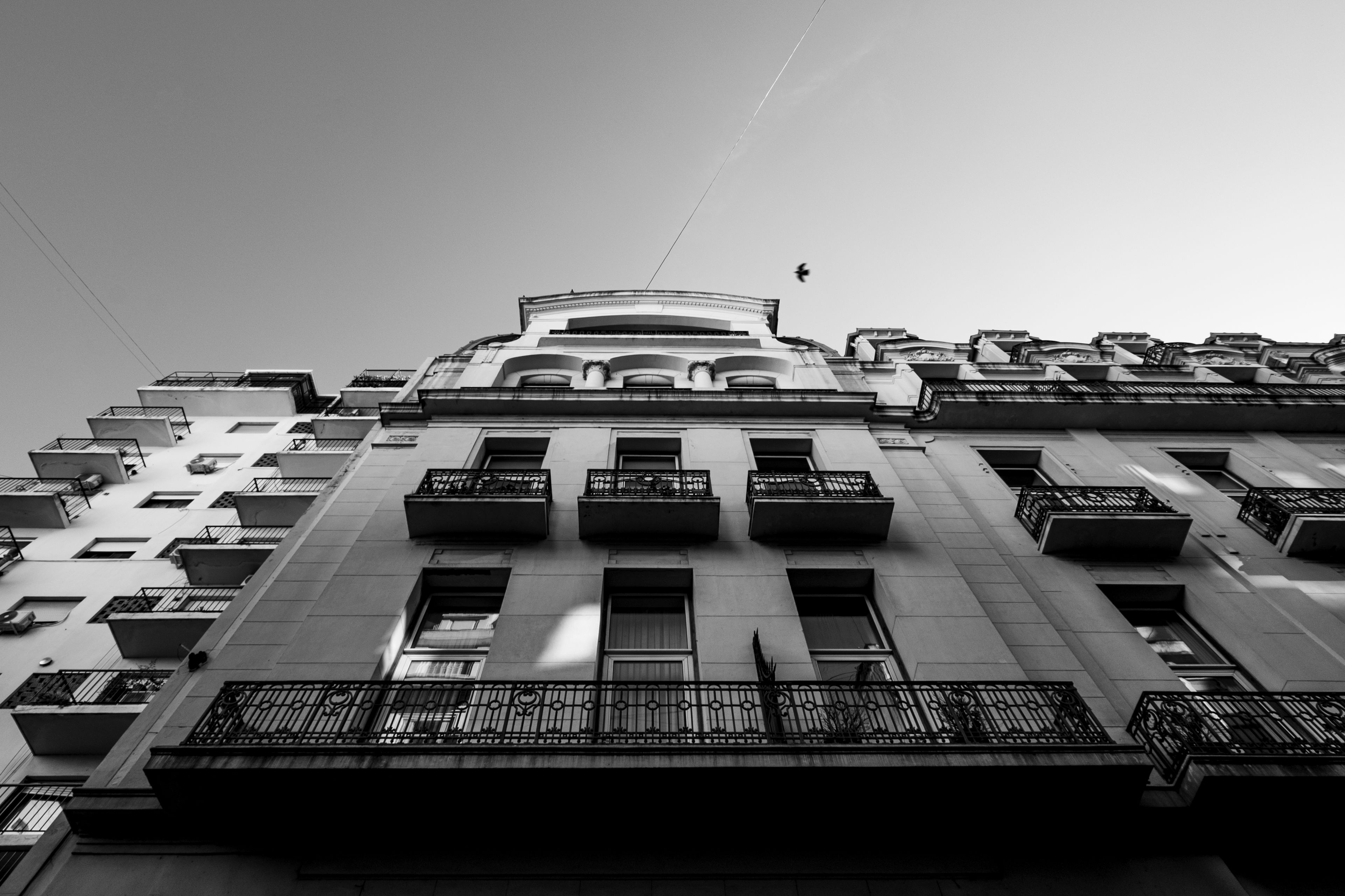 High Contrast Photos, Download The BEST Free High Contrast Stock Photos ...