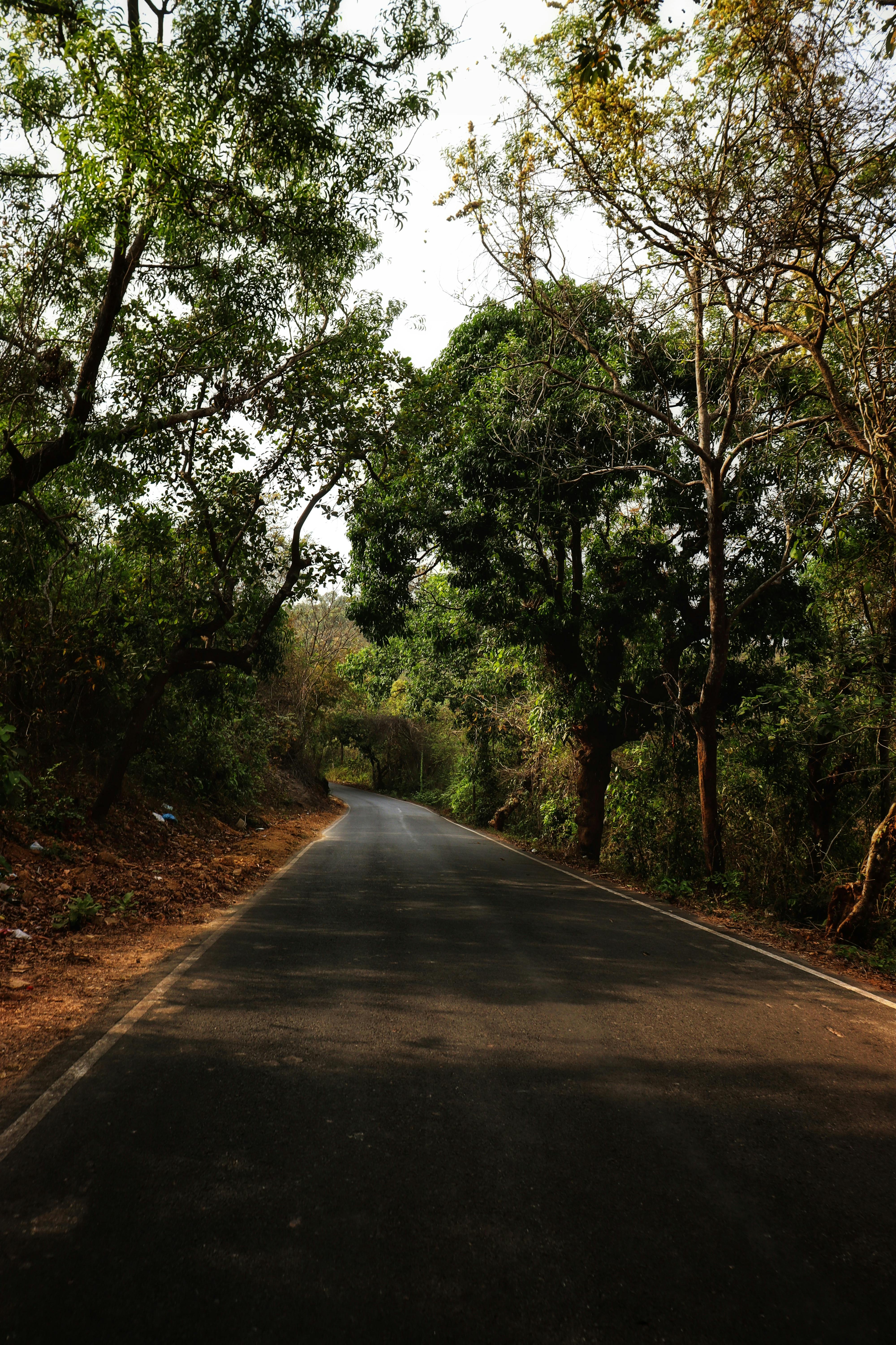 Lonely Earth Photos, Download The BEST Free Lonely Earth Stock Photos ...