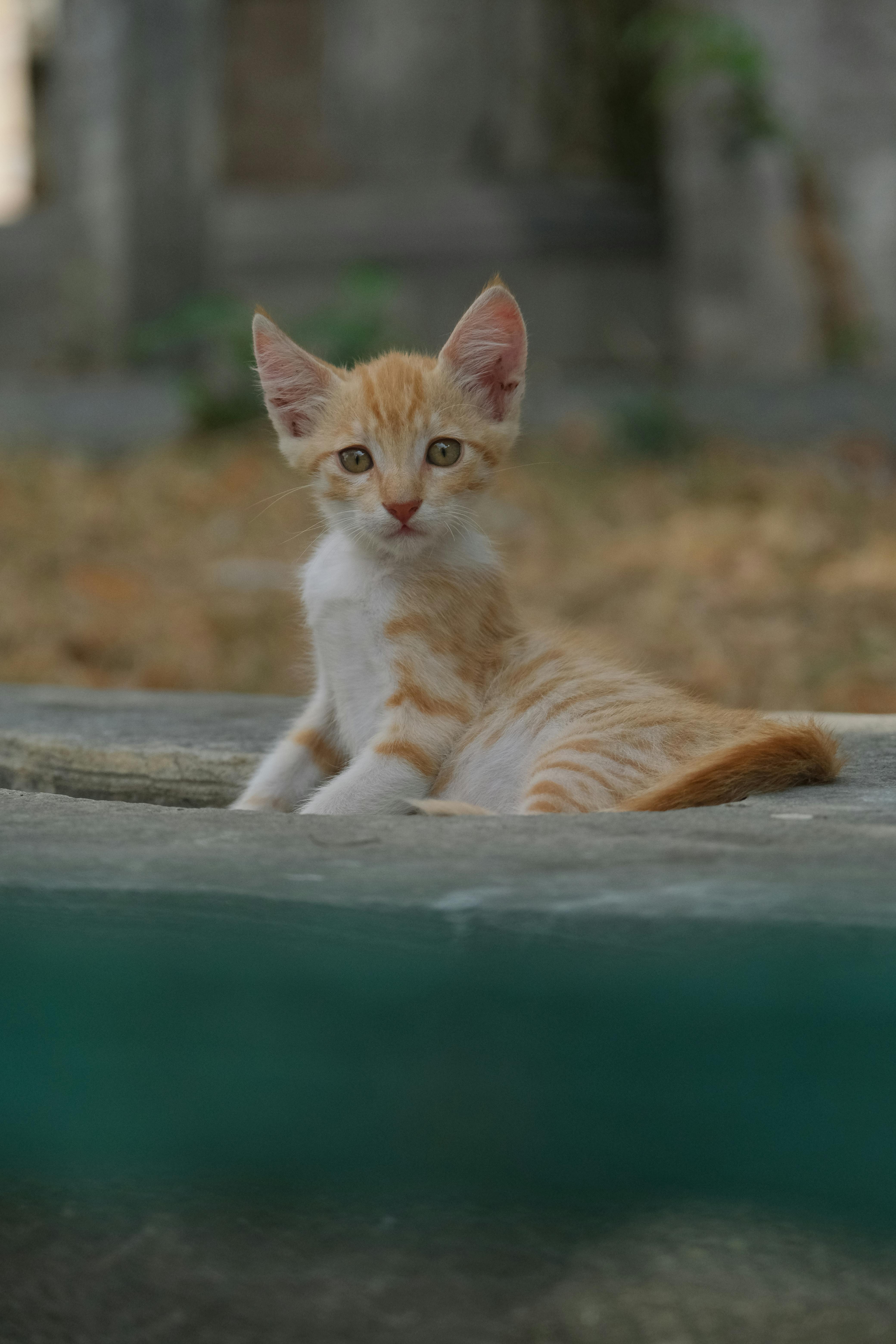 Cute+Nn+Jb+Girls Photos, Download The BEST Free Cute+Nn+Jb+Girls Stock ...