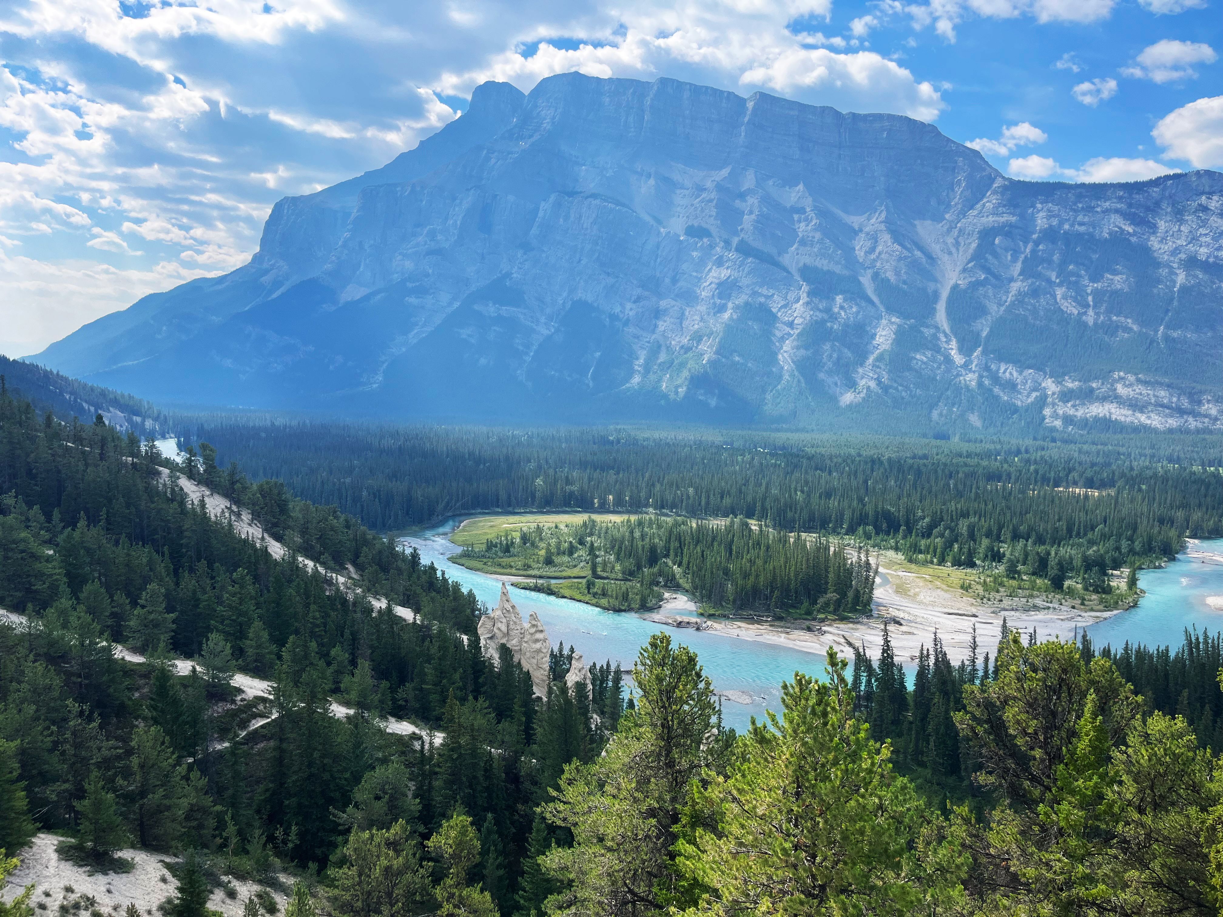 Canada Forest Photos, Download The BEST Free Canada Forest Stock Photos ...